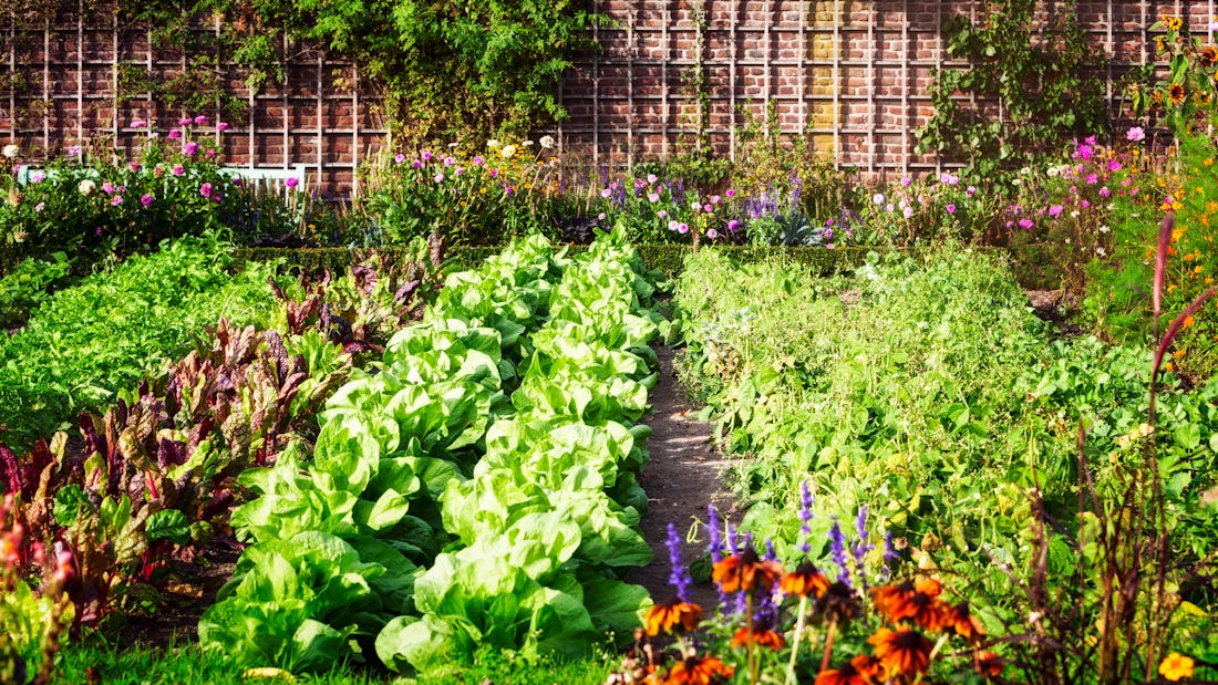 15 Beautiful Vegetable Gardens To Inspire You