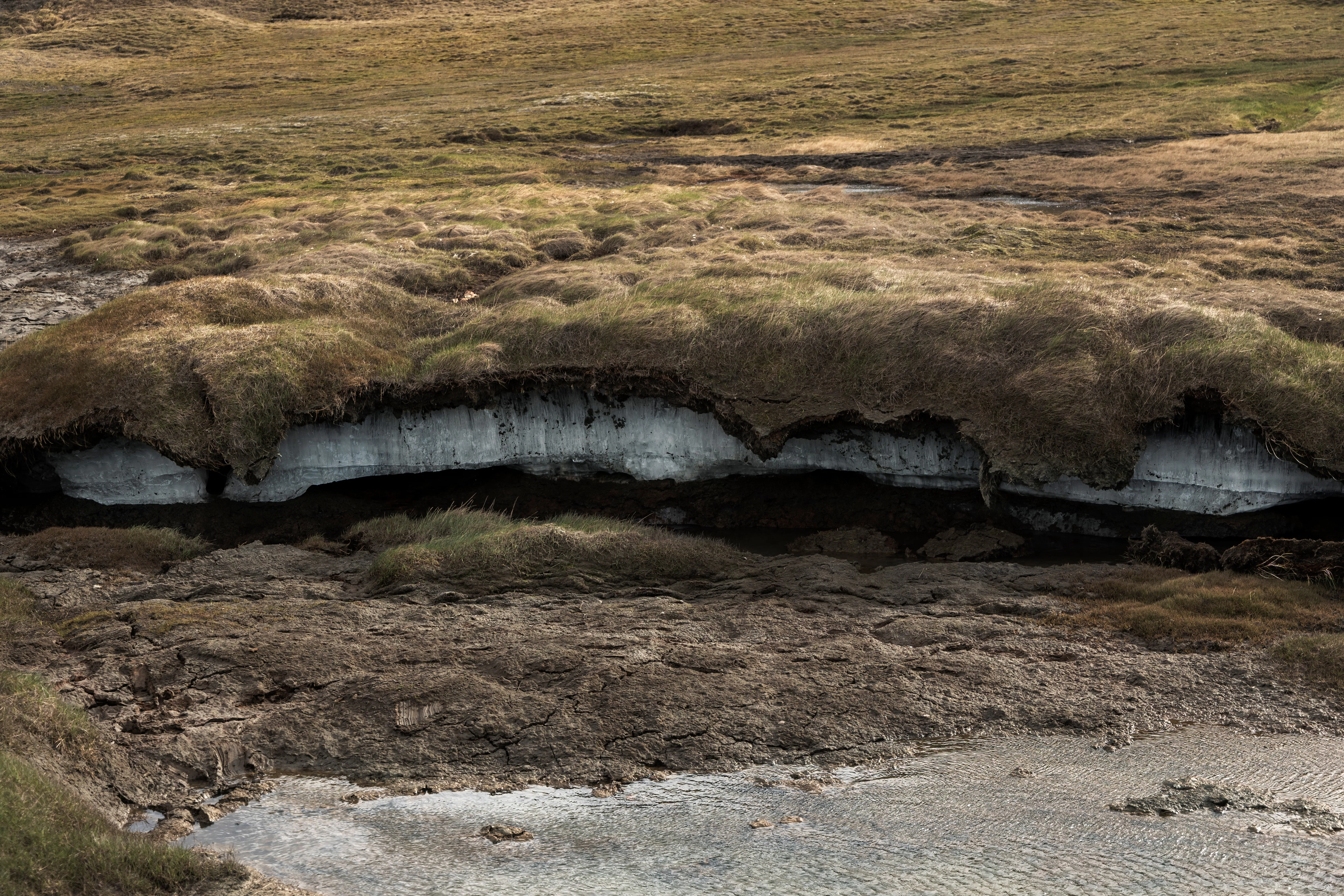 Look! The Siberian Arctic is on fire and the impact could be devastating