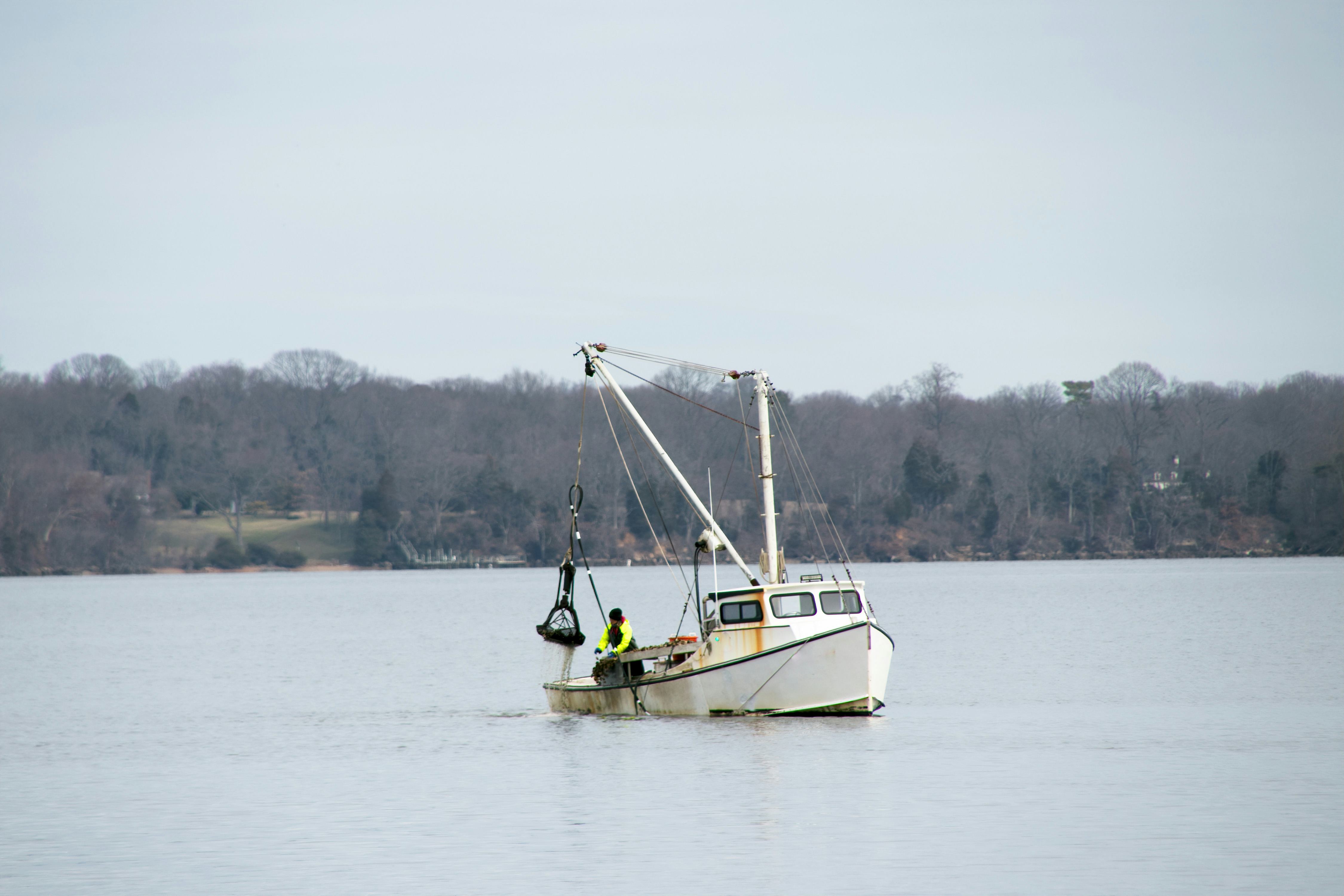 Ancient Indigenous oyster fishing practices could save…