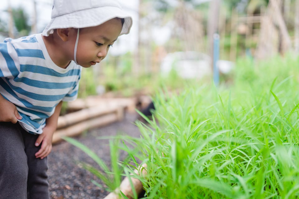 21 Earthy Boy Names Inspired By The Great Outdoors