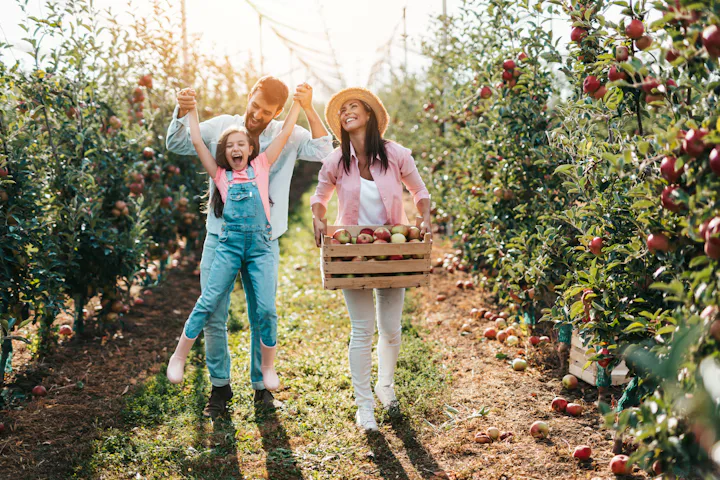 35 Apple Picking Instagram Captions That Capture All The Fall Fun