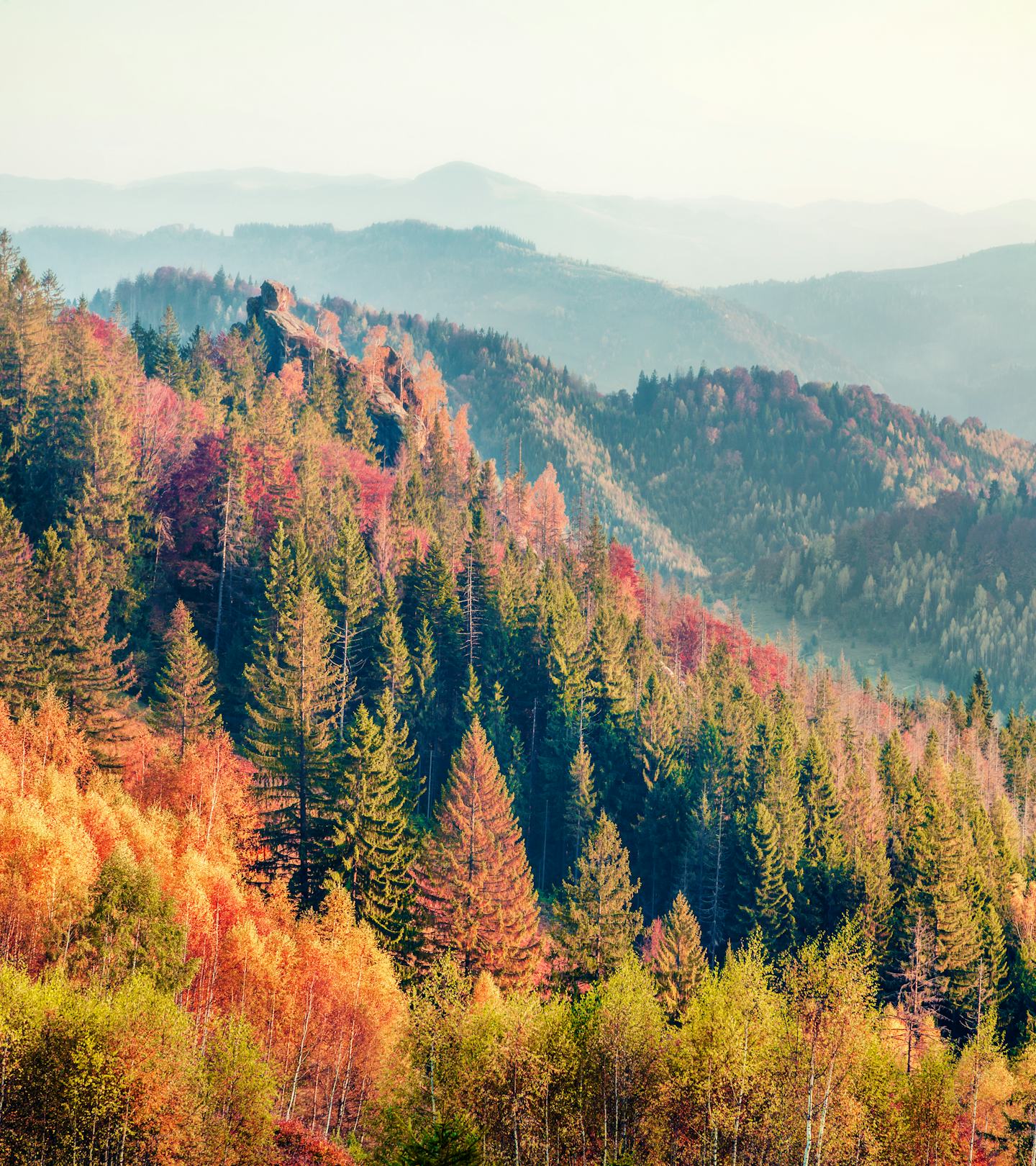 10 Best Leaf Peeping Spots In The U S 2022