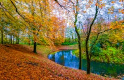 7 Symbolic Meanings Of Autumn You Should Know