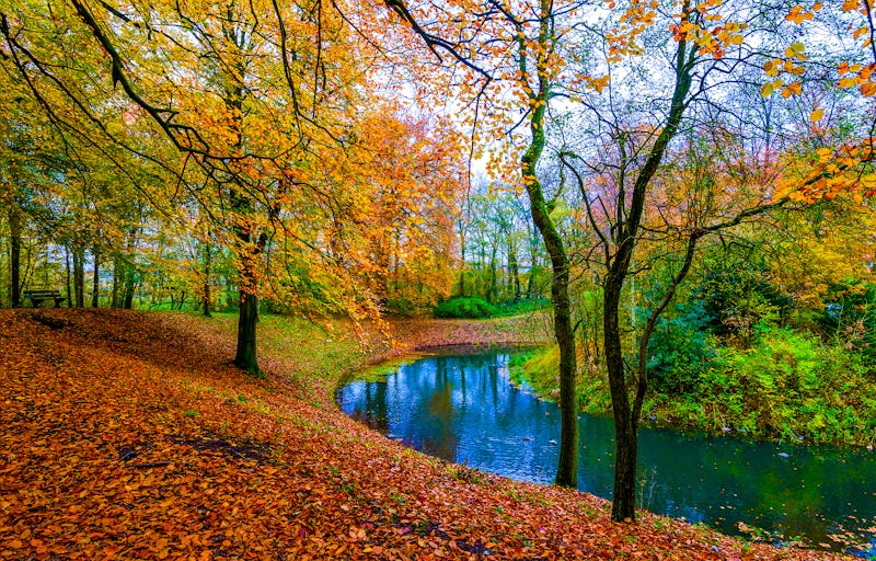 7 Symbolic Meanings Of Autumn You Should Know