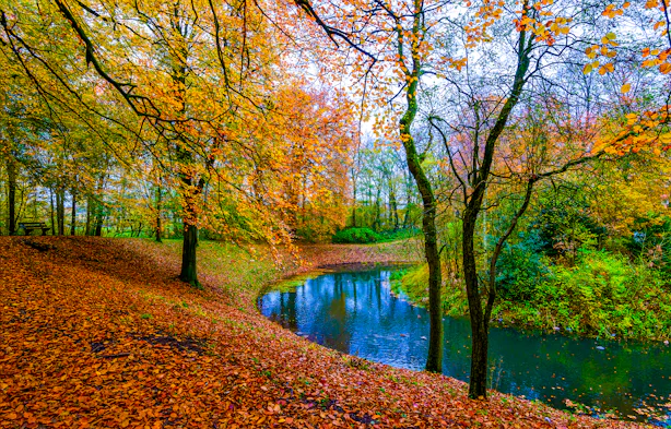 7 Symbolic Meanings Of Autumn You Should Know 7 Symbolic Meanings Of Autumn You Should Know