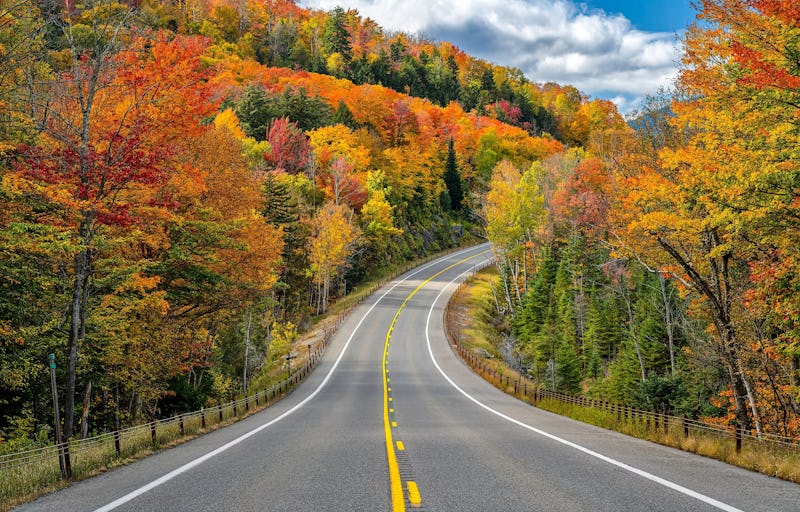 Why Is Autumn Called Fall? The Season’s History, Explained