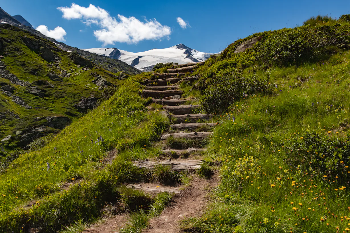 What Is A Fae Trap? The TikTok-Viral Mythological Term, Explained
