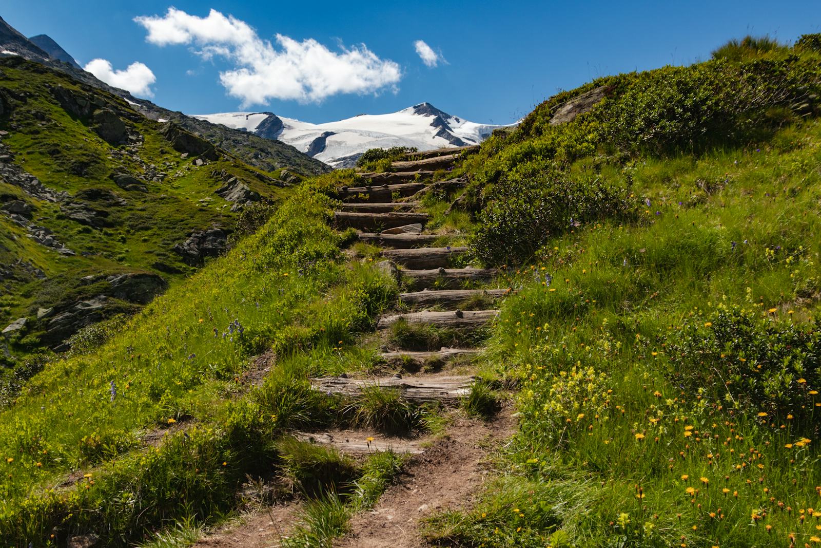 What Is A Fae Trap? The TikTok-Viral Mythological Term, Explained