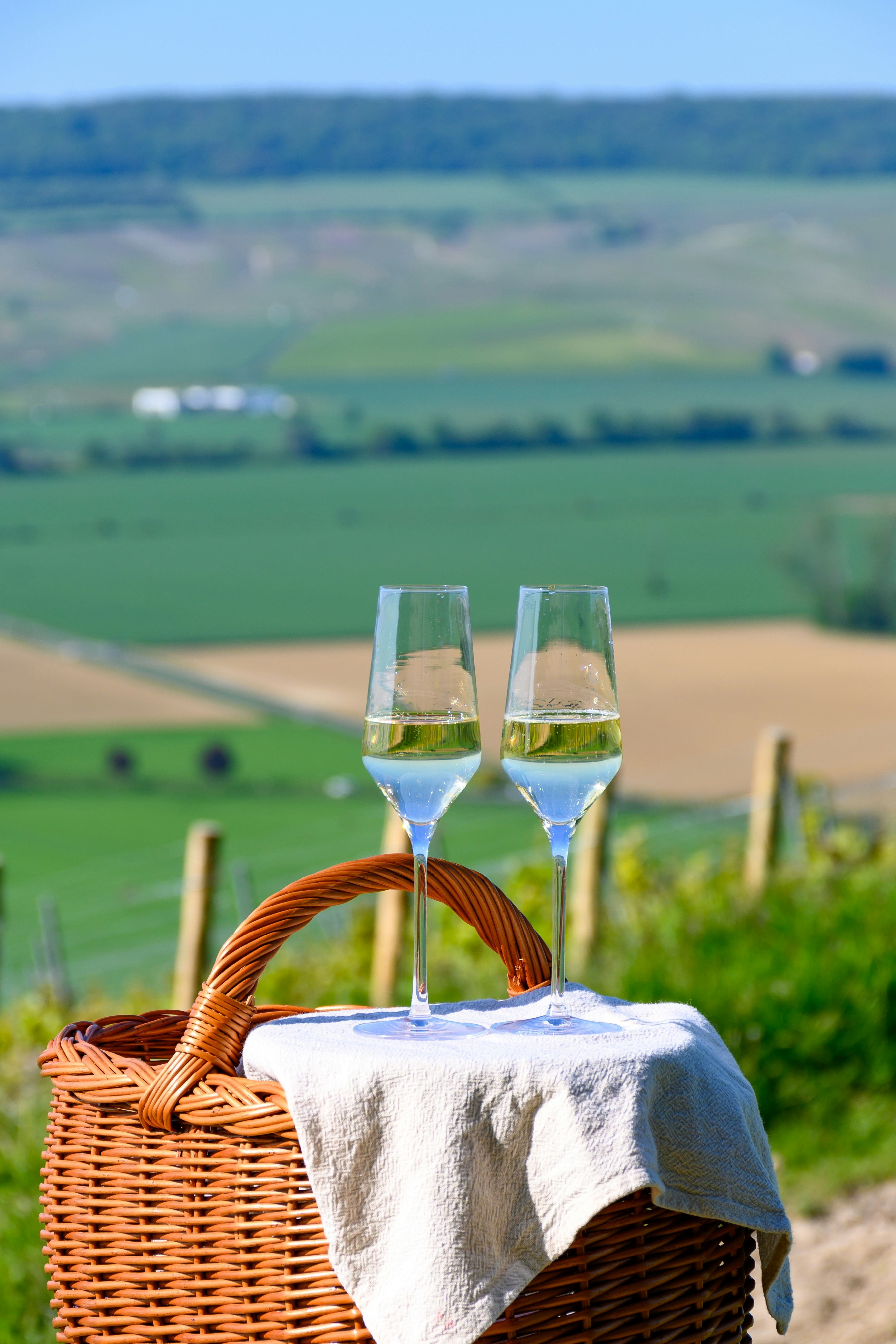 This Pinot Wine Guide Proves The Grape Family's Extensive Reach