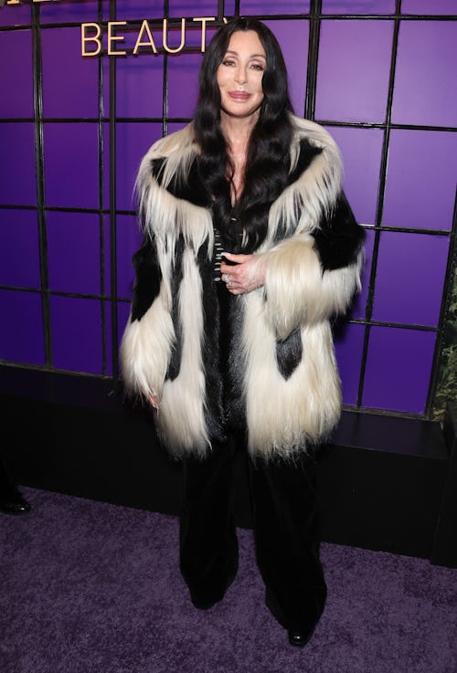 Cher Takes Us Back to 1975 in Bold Fur Coat for NYFW Studio 54 Party