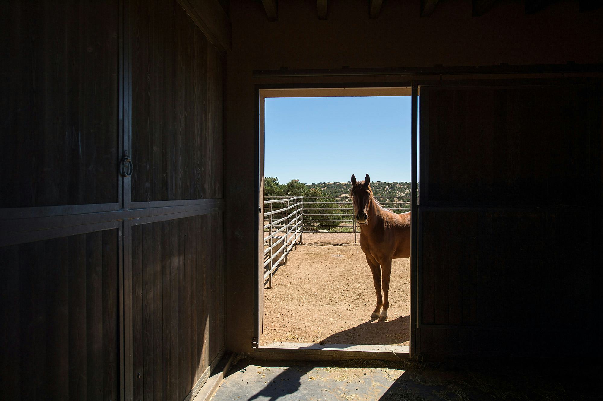 You Can Buy Tom Ford’s Tadao Ando-Designed Ranch For Just $75 Million