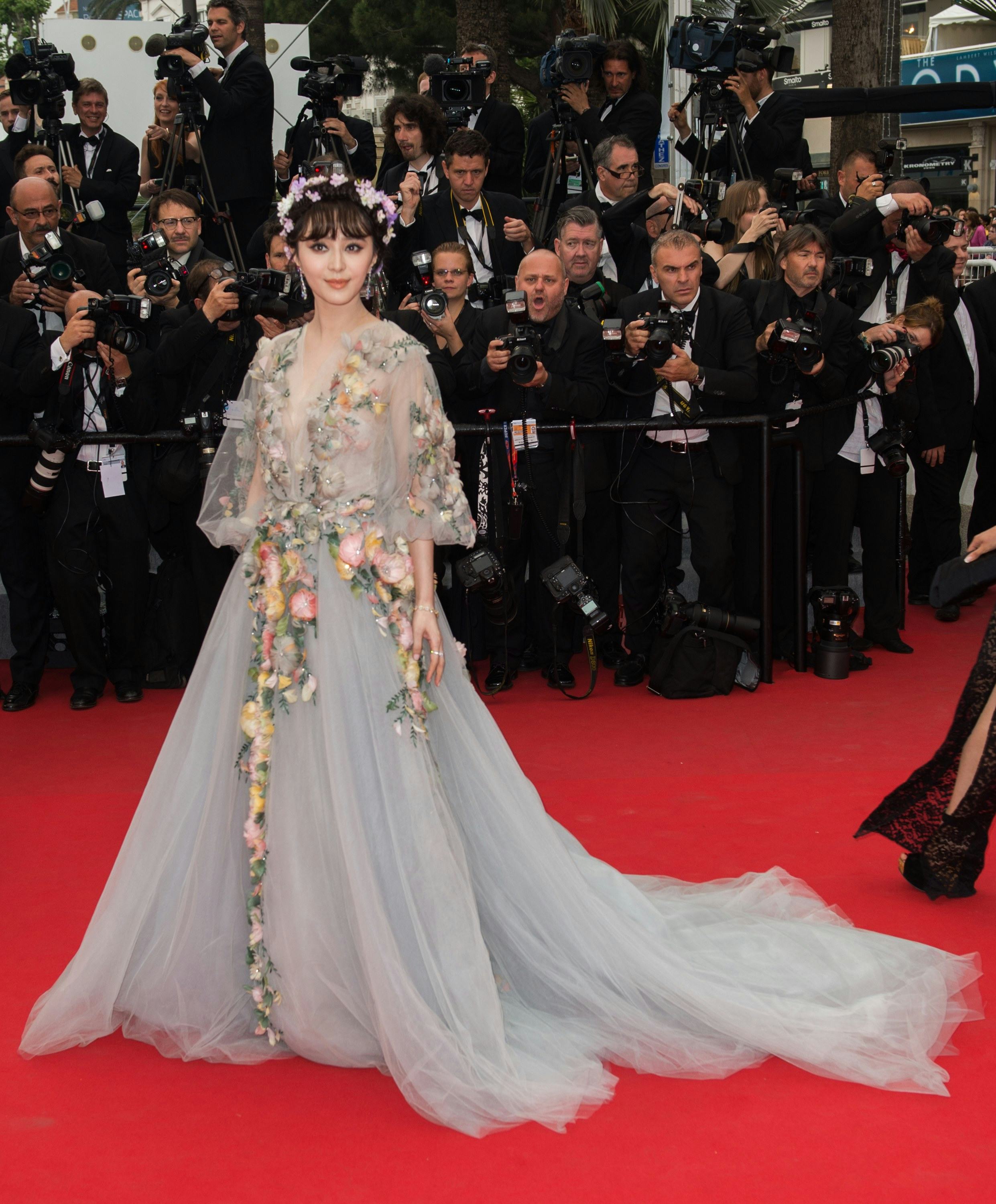 Fan Bingbing, Queen of the Red Carpet