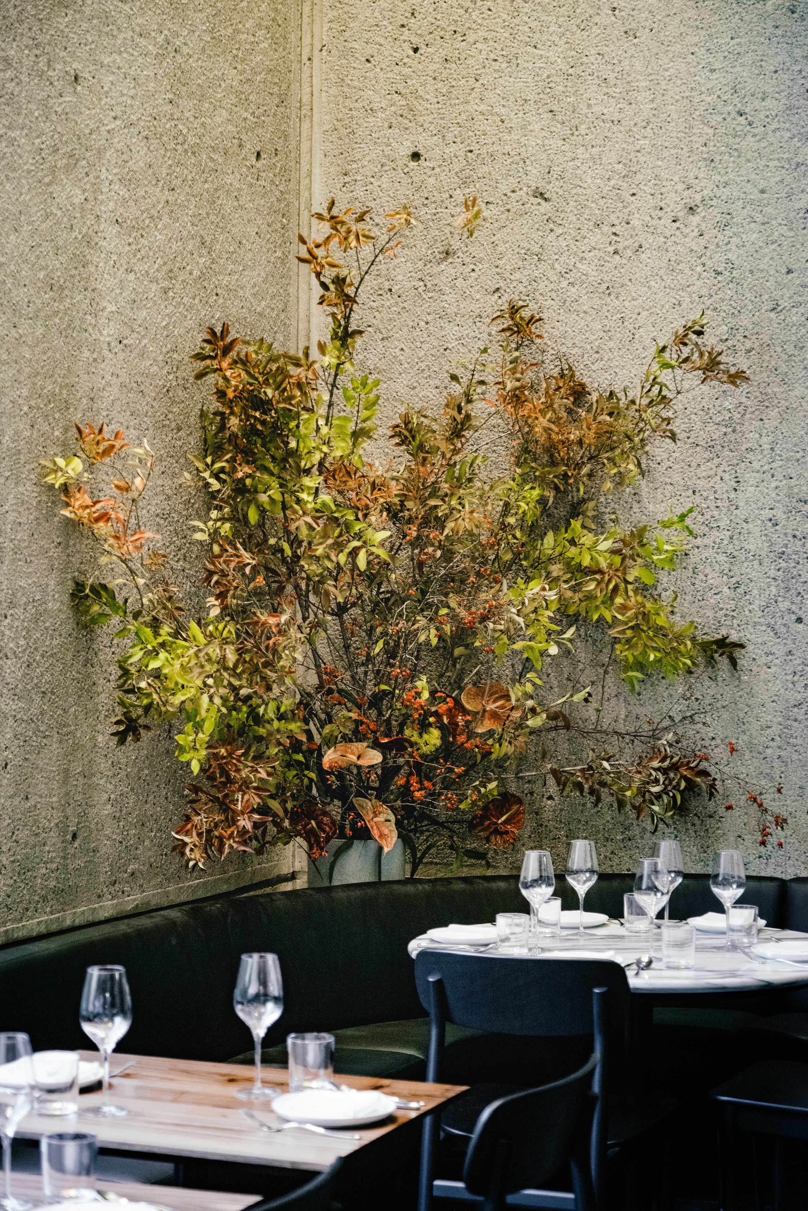 Inside Flora Bar and Coffee