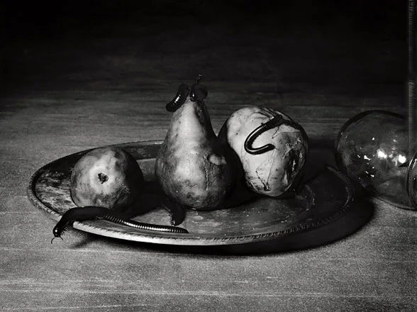 Mark Seliger: Listen
