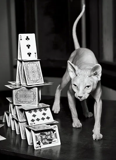 Mark Seliger: Listen