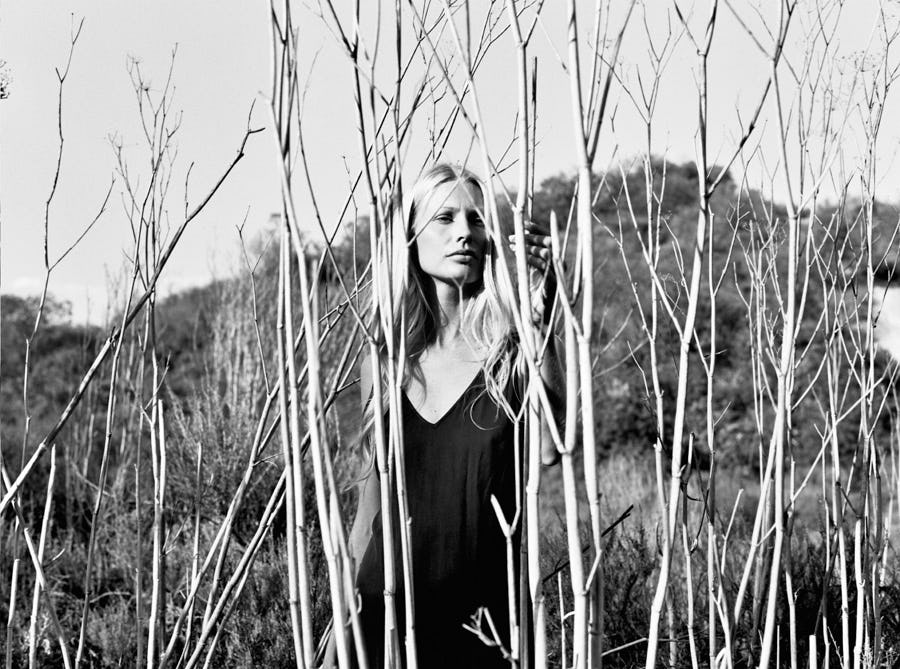 Photos: A Cult Following