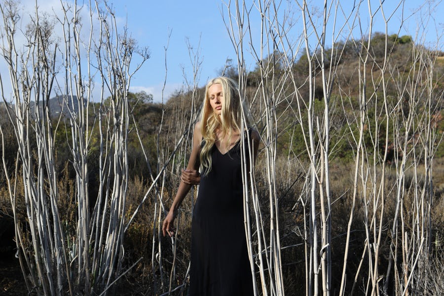 Photos: A Cult Following