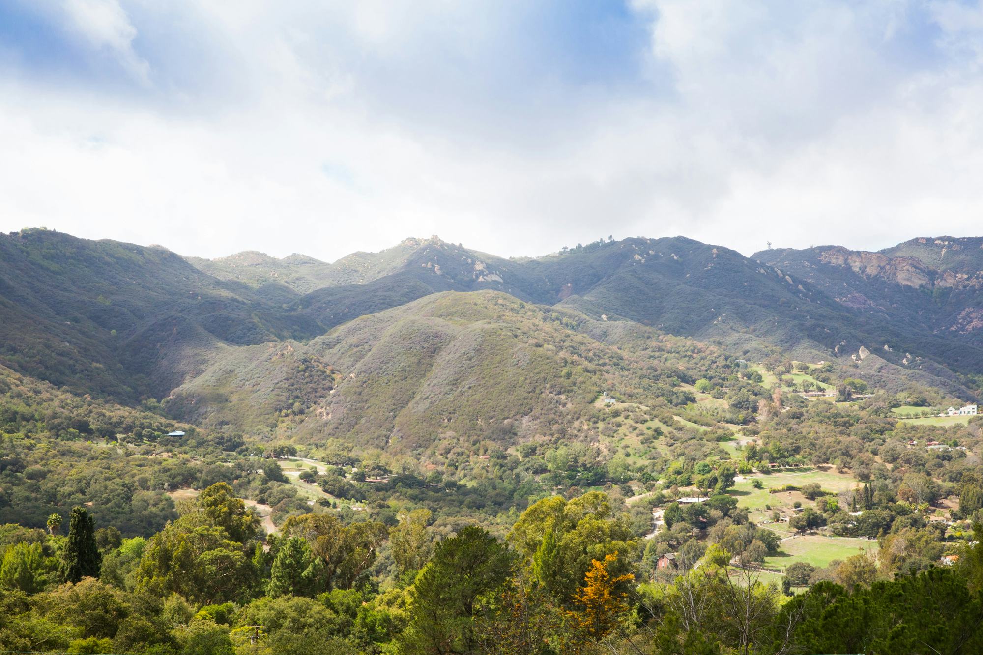 California Dreamy: The New Scene in Topanga Canyon