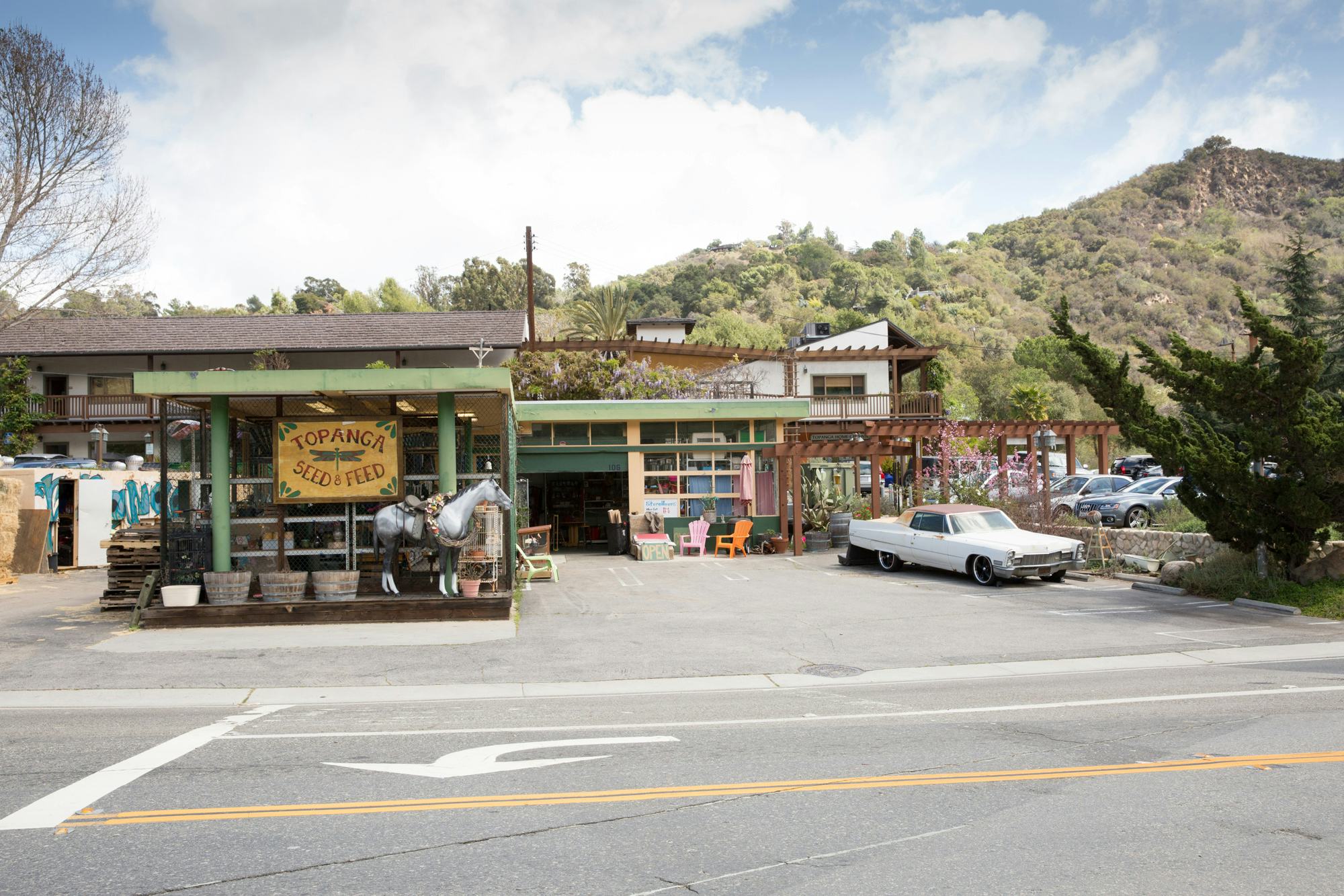 California Dreamy: The New Scene in Topanga Canyon