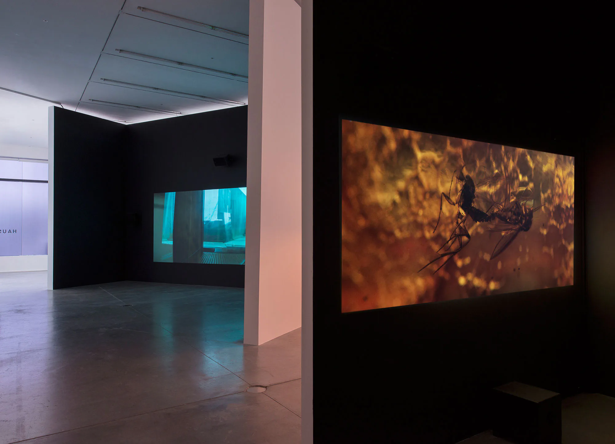 Pierre Huyghe Goes Deep