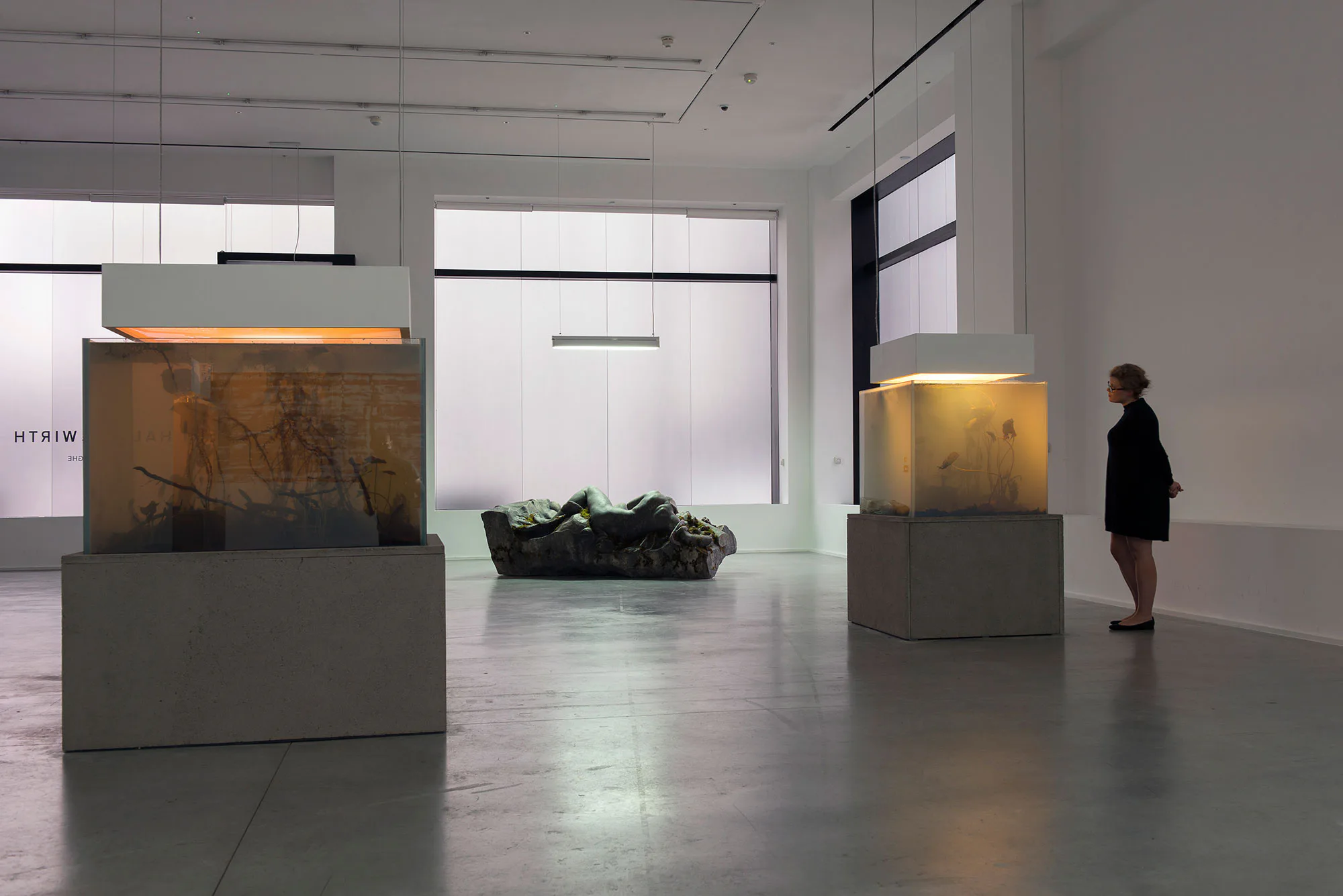 Pierre Huyghe Goes Deep