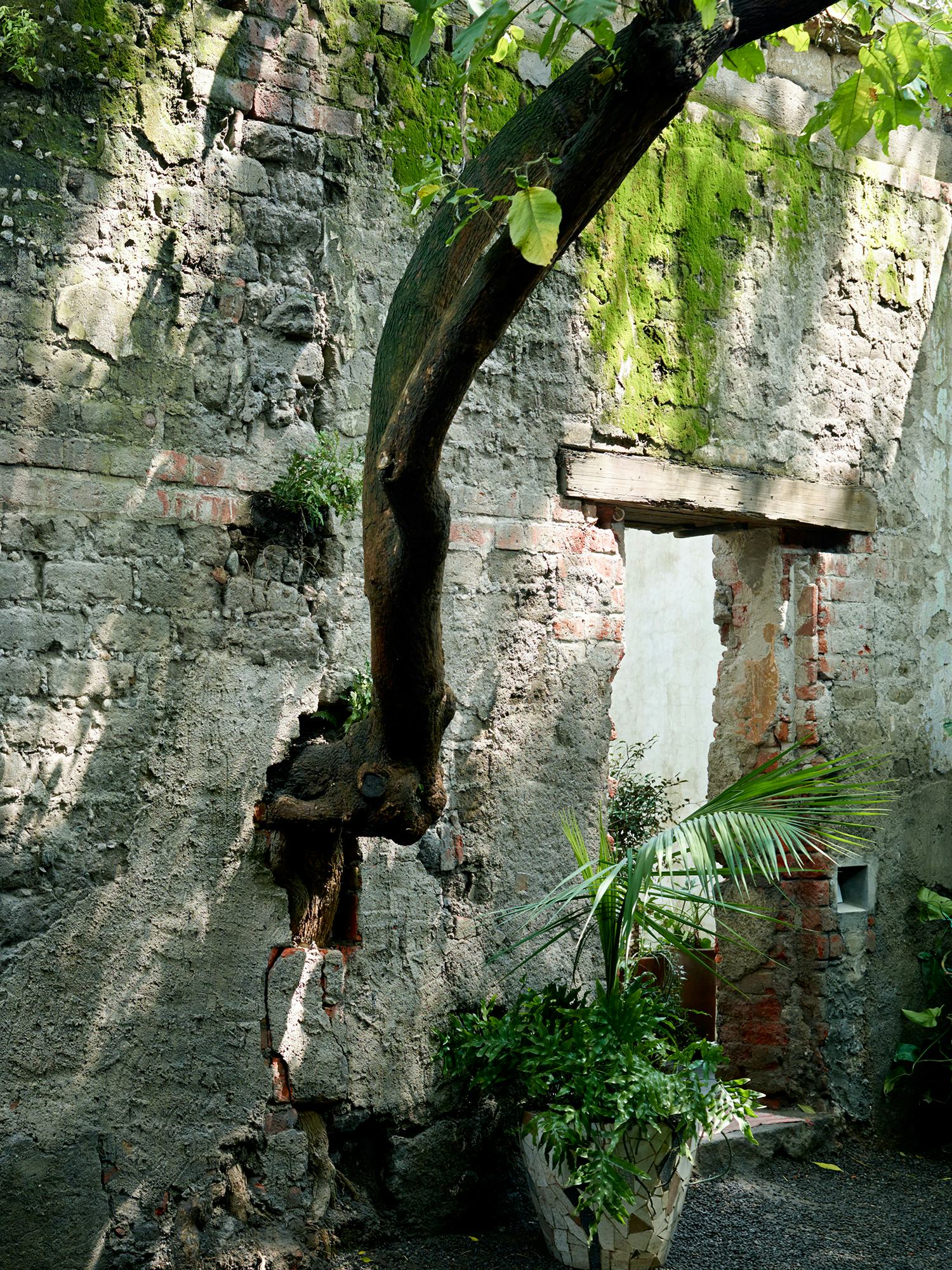 Photos: Nature & Nurture