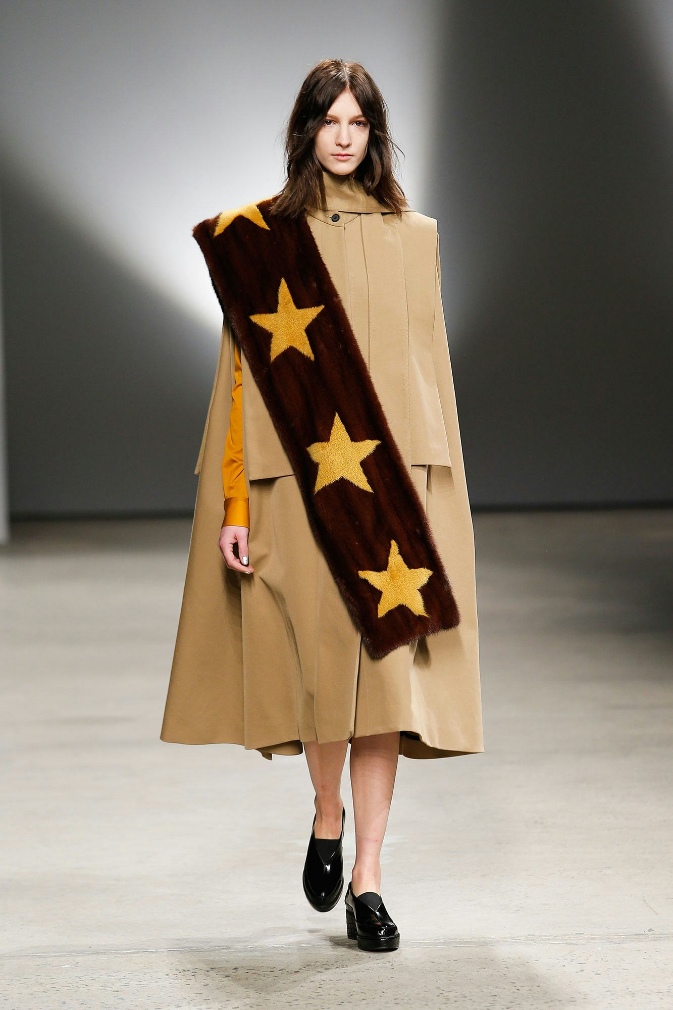 Ryan Roche Fall 2015