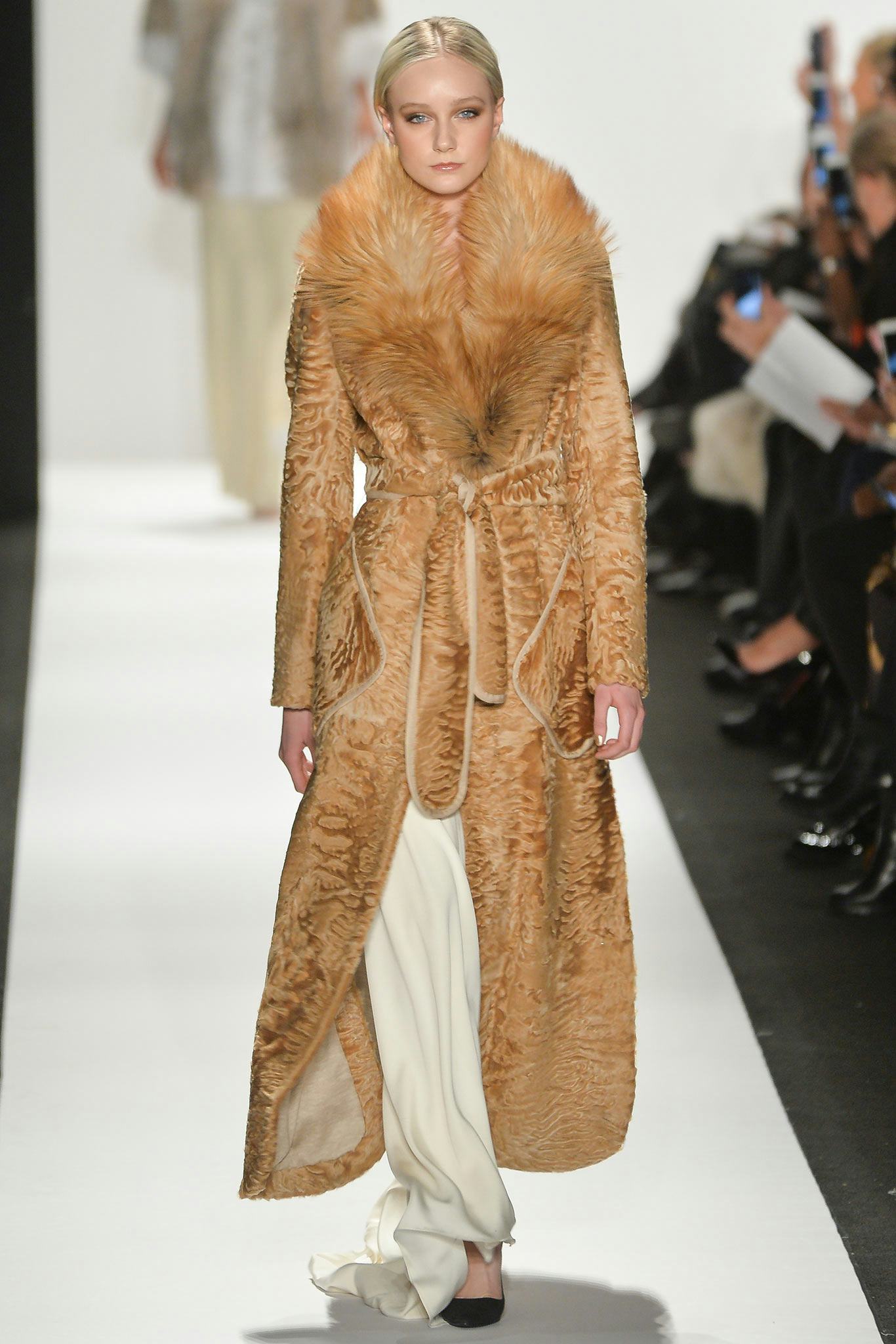 Ryan Roche Fall 2015