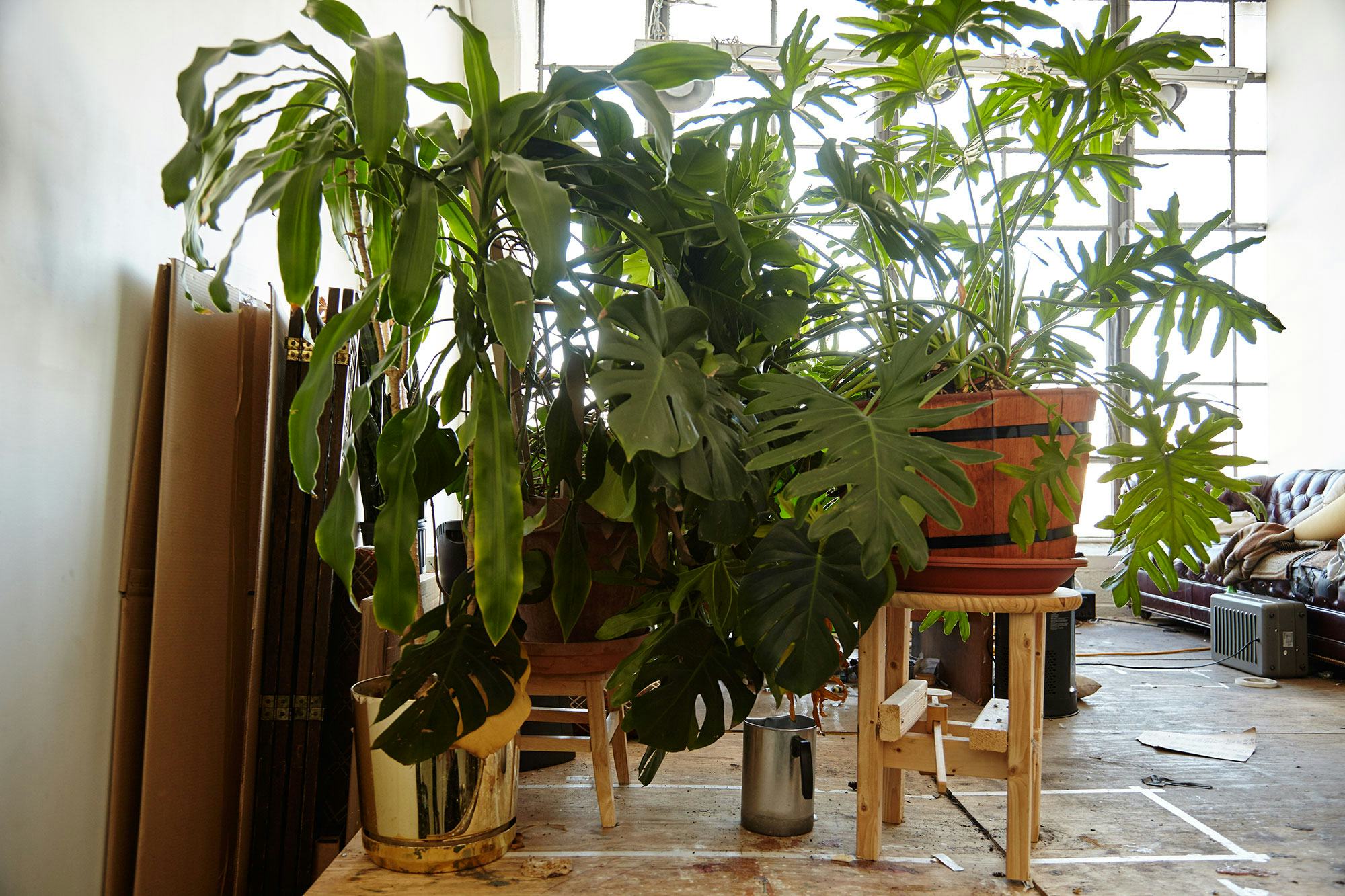 Ellen Altfest’s Reality Check