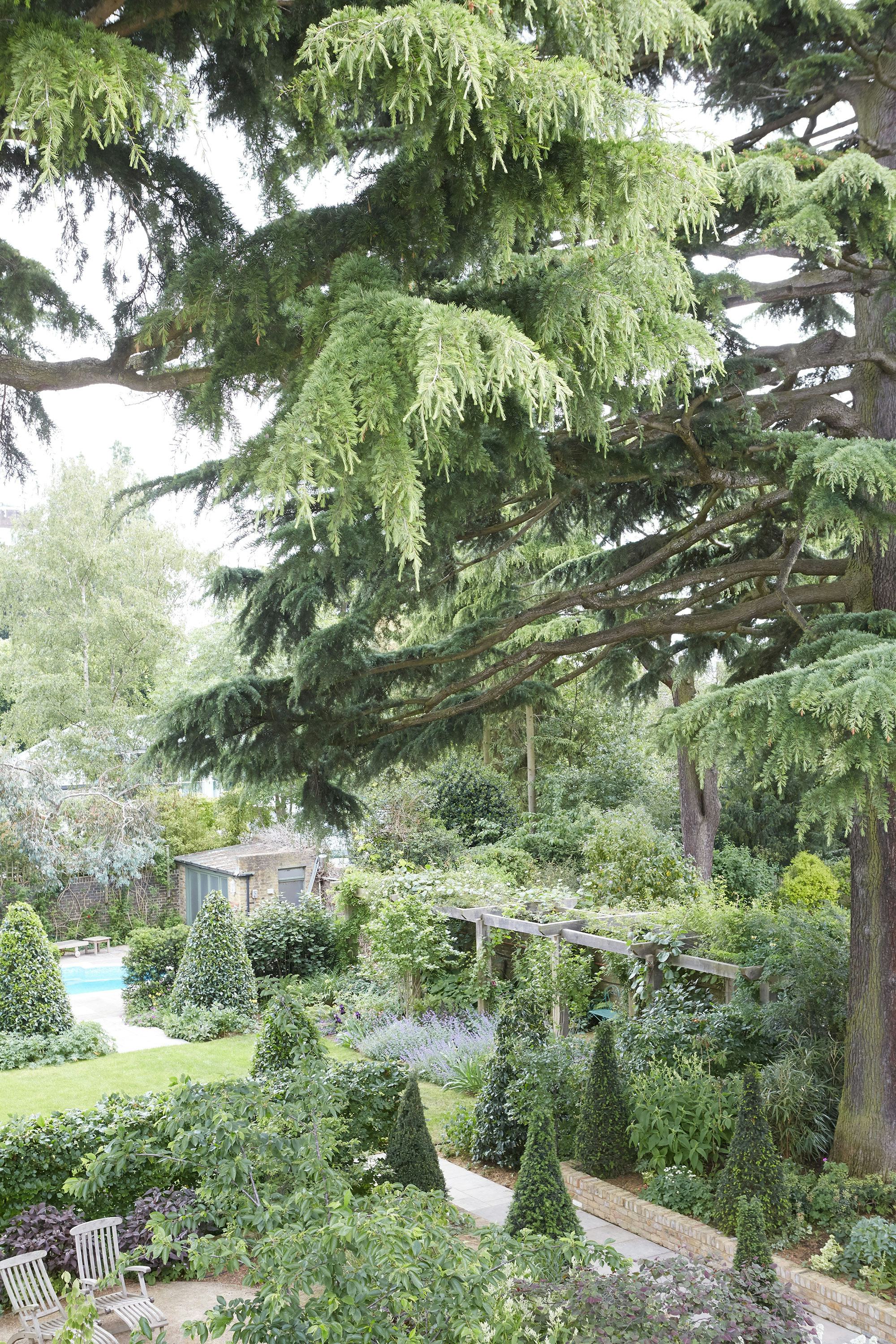 Ruth and Tom Chapman: Mix and Matches