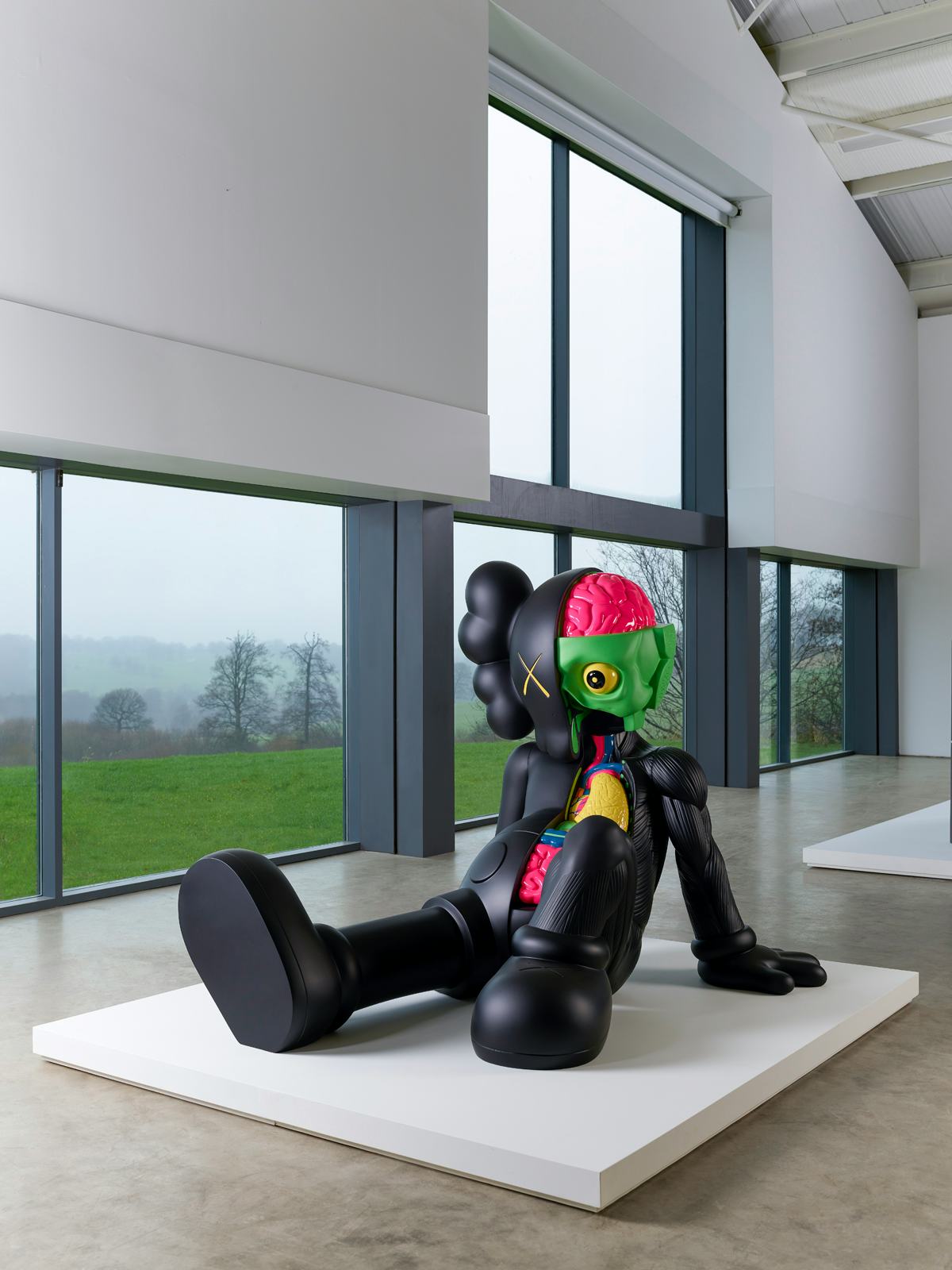 KAWS in the Country