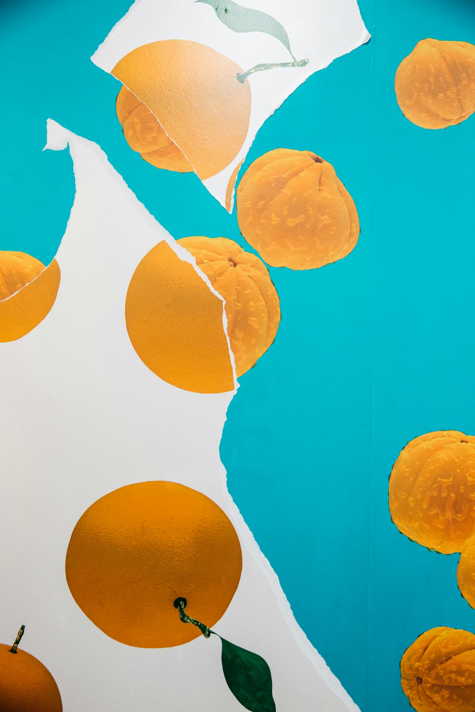 Inside the Wild, Candy-Colored World of Misha Kahn