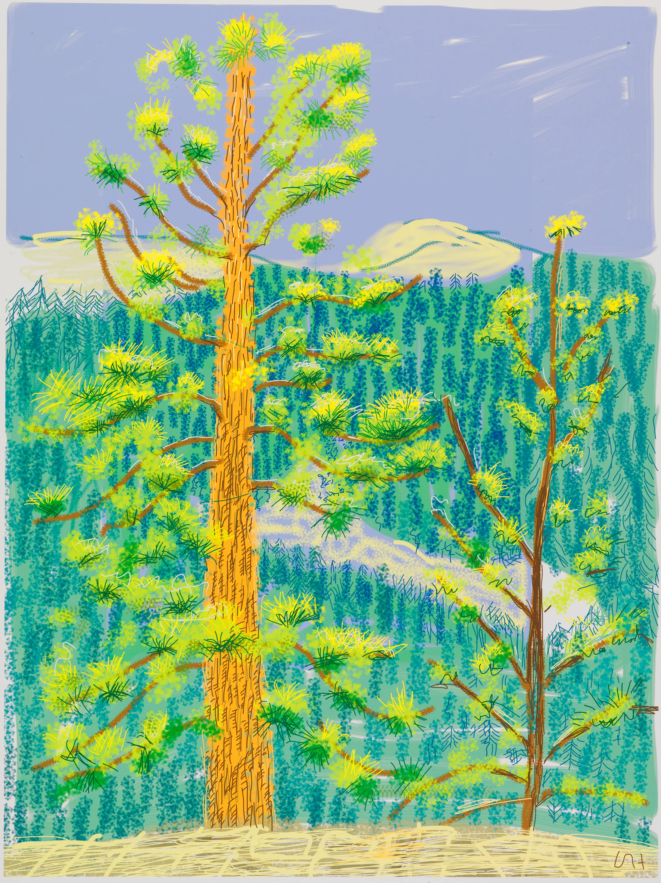 Yosemite, Sent From David Hockney’s iPad