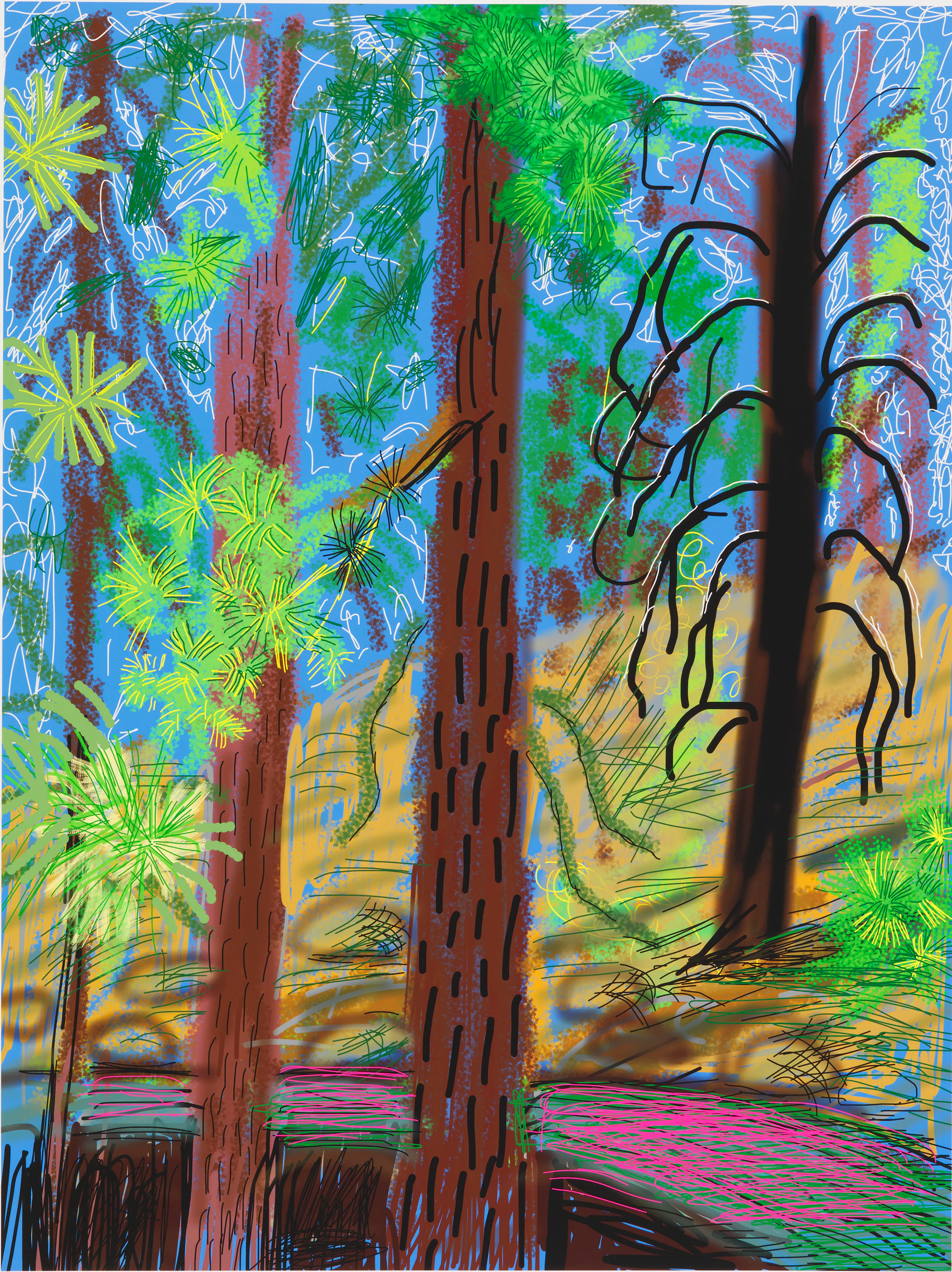 Yosemite, Sent From David Hockney’s iPad