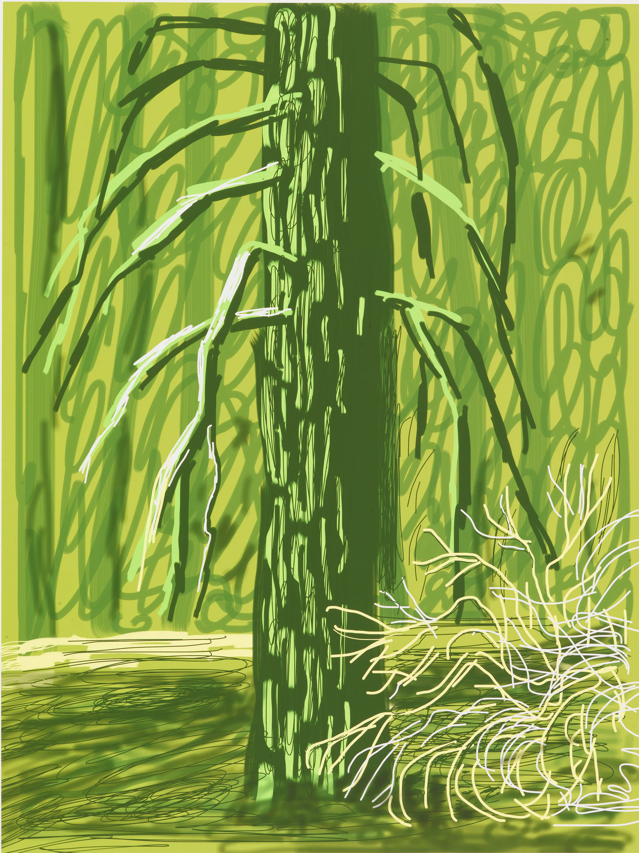 Yosemite, Sent From David Hockney’s iPad