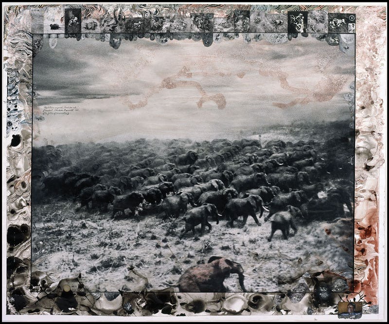 Peter Beard Prefers to Print Out the Internet