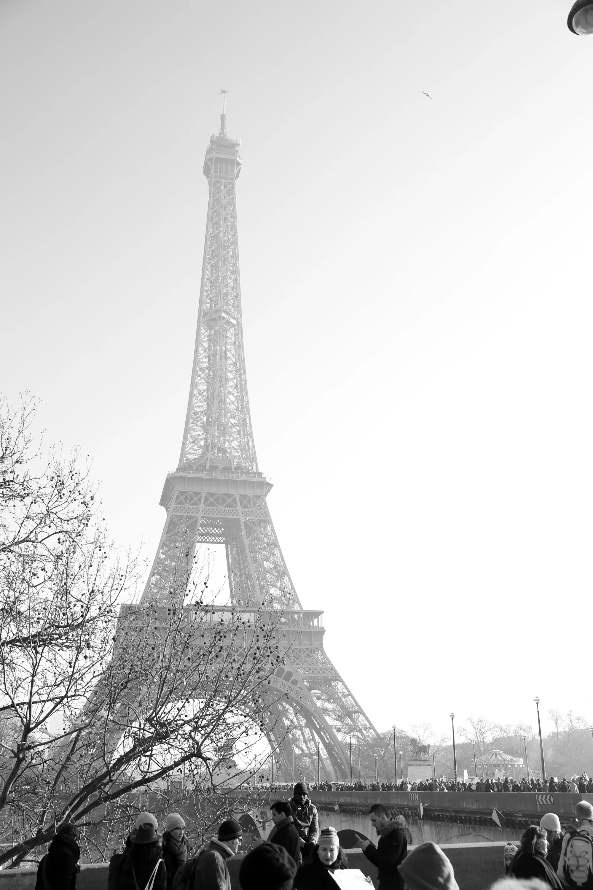 The Women’s March Takes Paris: See Photographs of Les Femmes Nasty