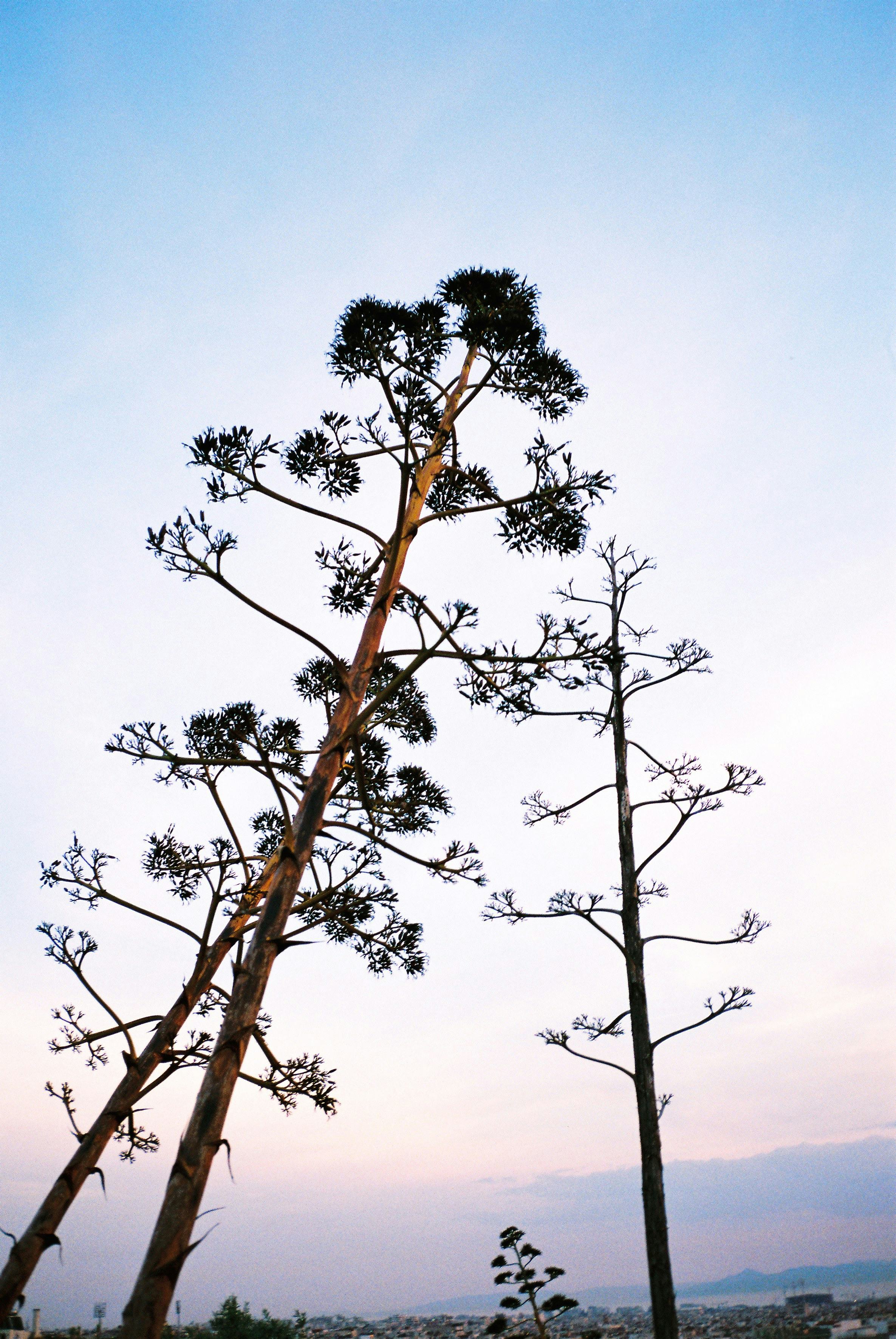 A Look at the Controversial Work of Photographer Ren Hang, Who Died ...