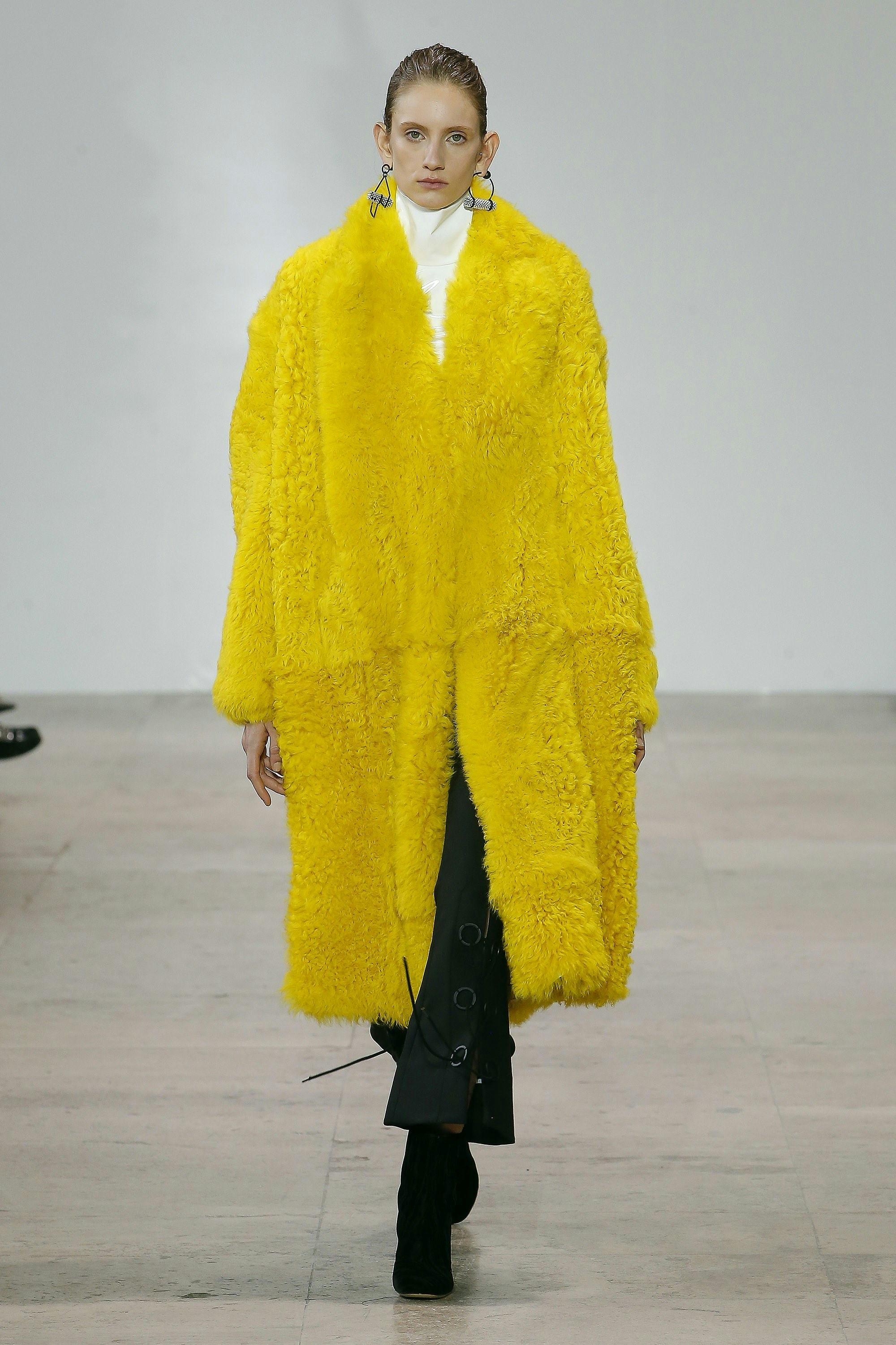 Why Fall 2017 Was All About Bold, Colorful Fur