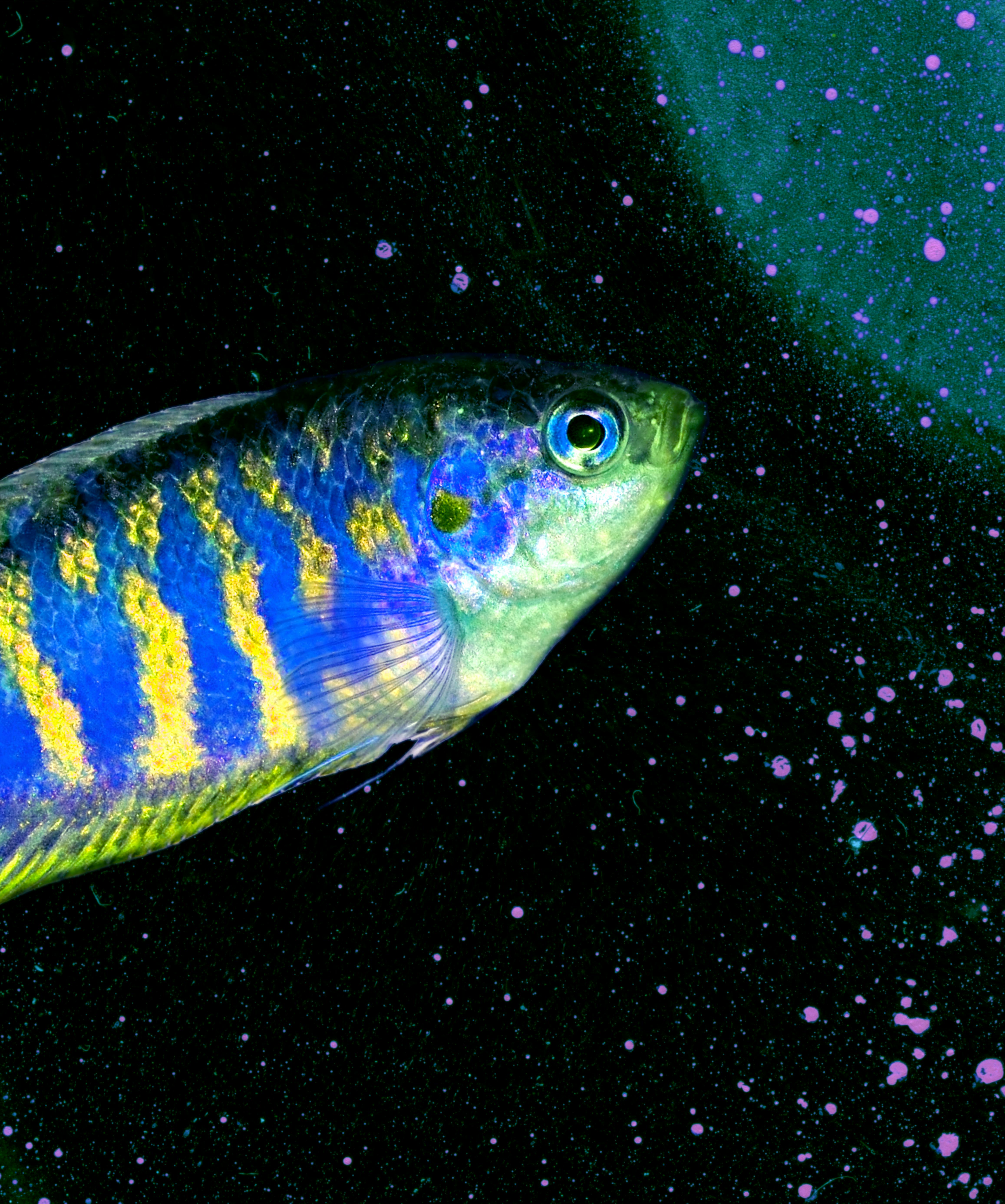 Inside Val Kilmer’s Art Exhibition, “Valholla”