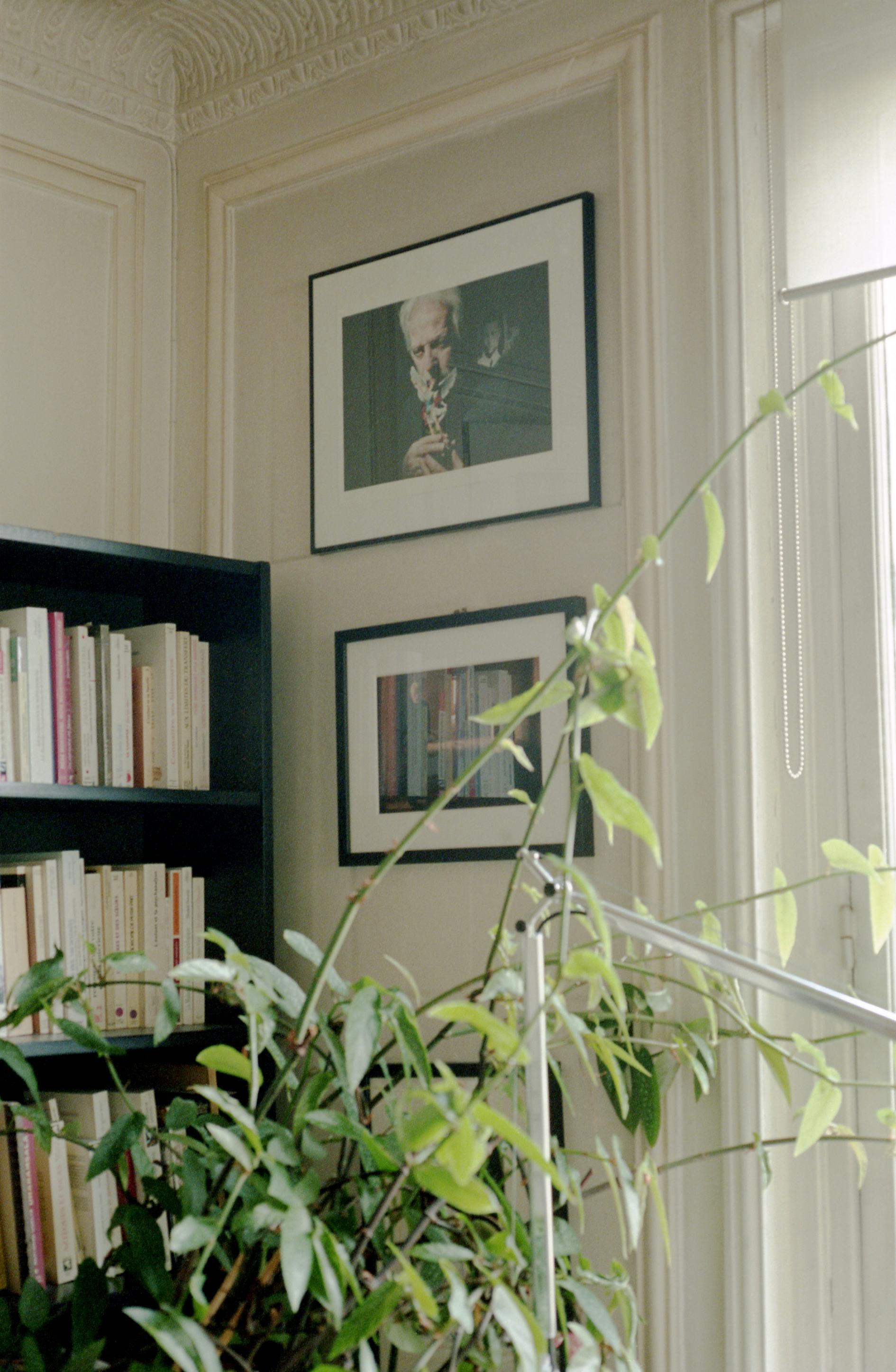 A Look Around the Home of Alejandro Jodorowsky and Pascale Montandon ...