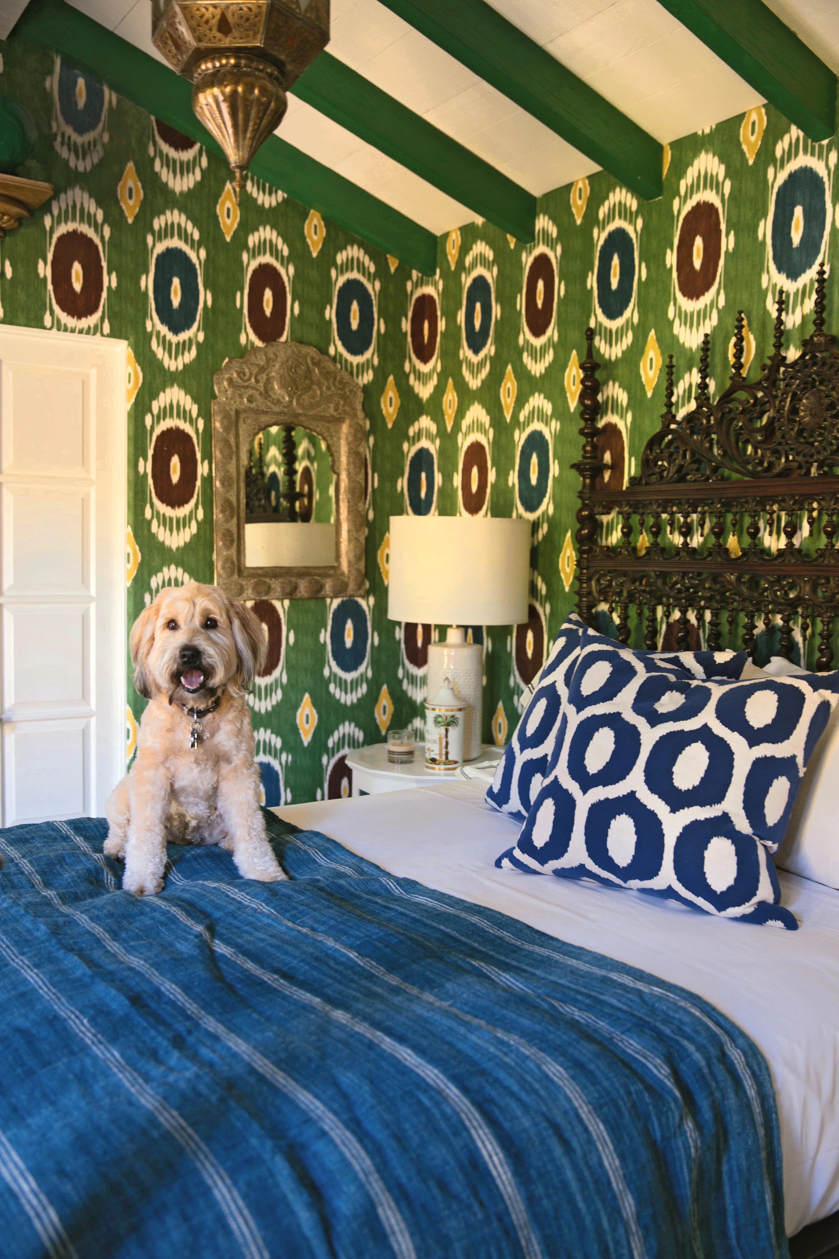 8 Photos of the Cutest Dogs In the Chicest Homes