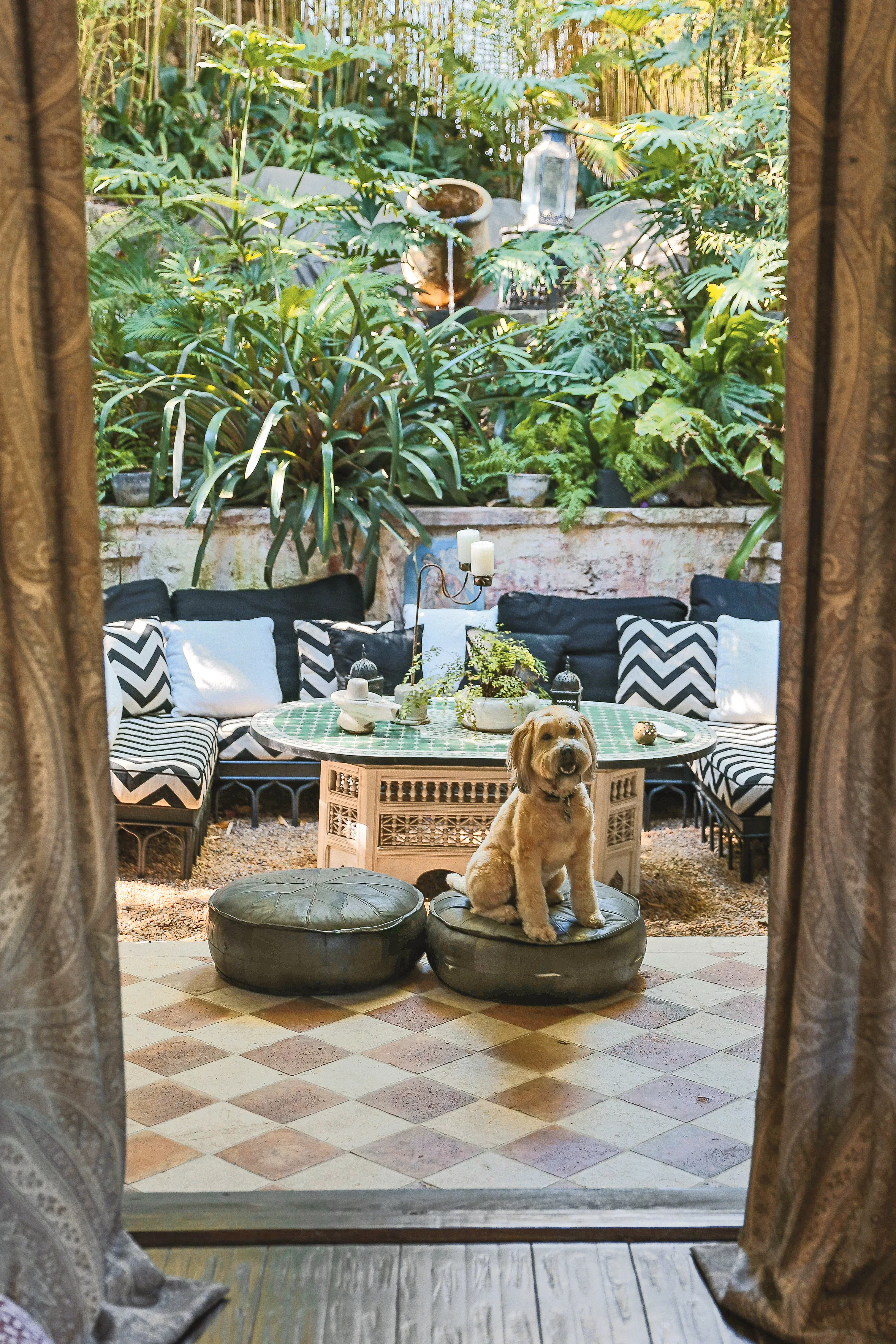 8 Photos of the Cutest Dogs In the Chicest Homes
