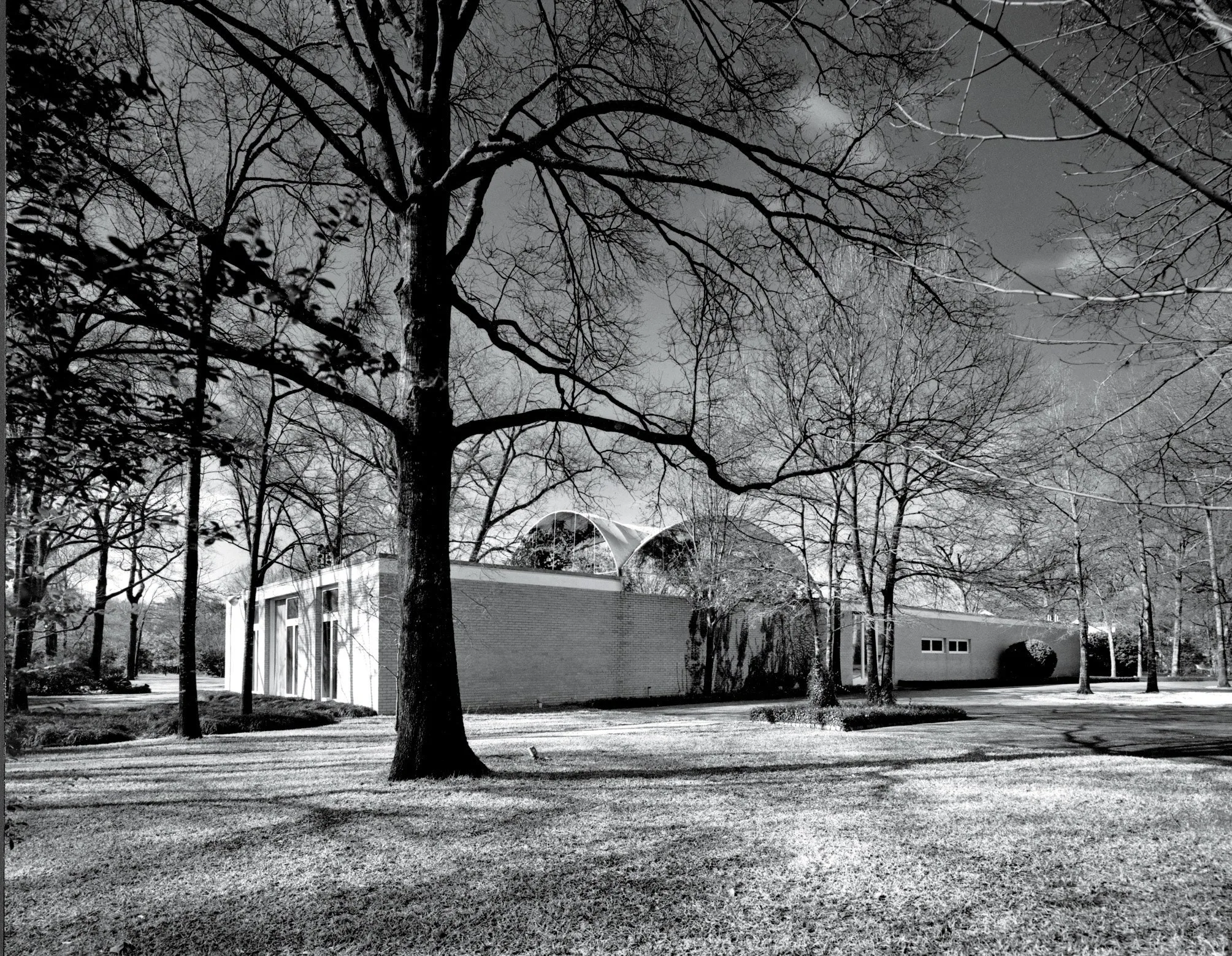 The High Society Love Story Behind Dominique and John De Menil’s ...