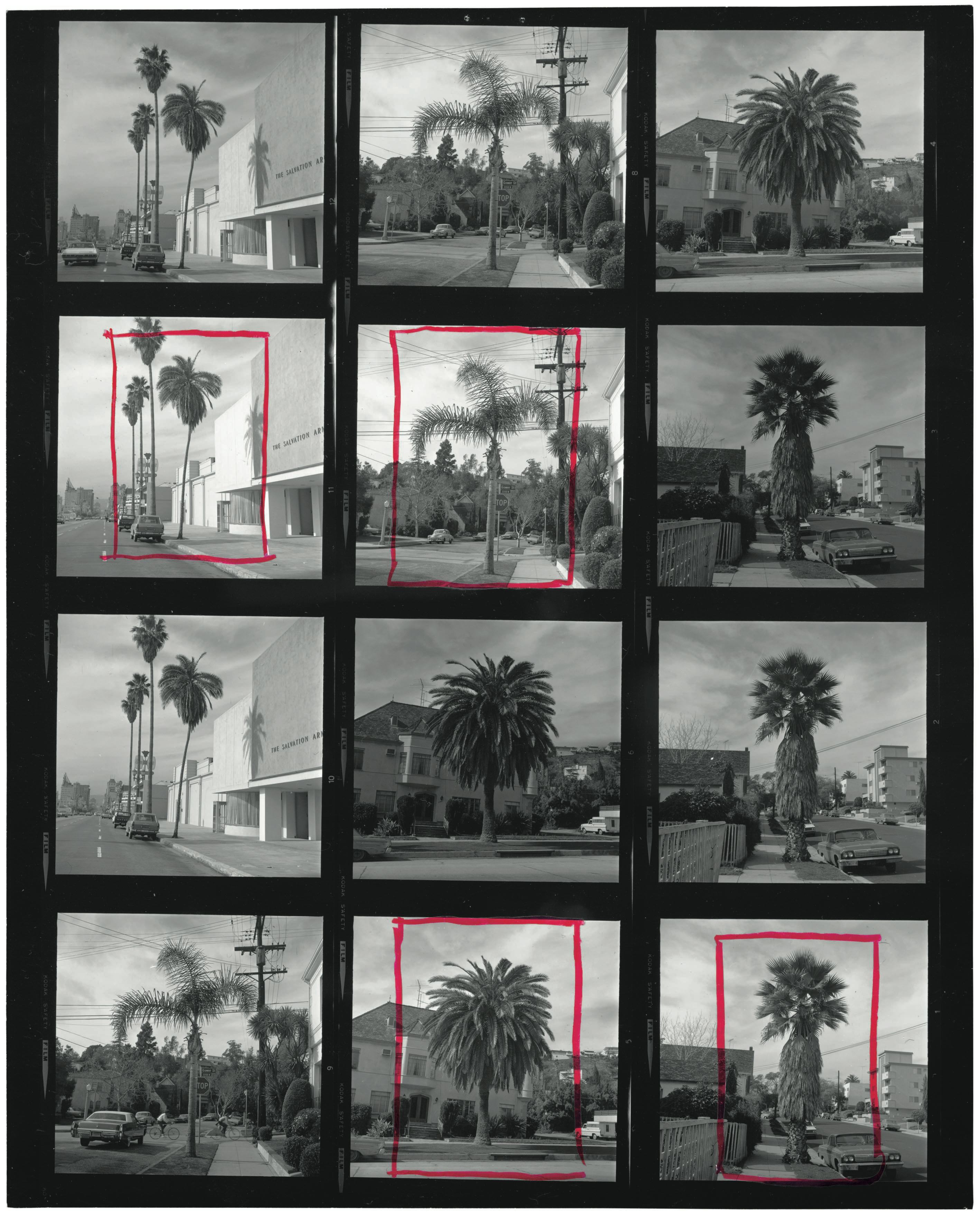 A Brief History of the Palm Tree In Modern Art