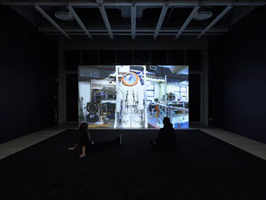 Everything Is Video For Rachel Rose, the Art World’s Screen Star