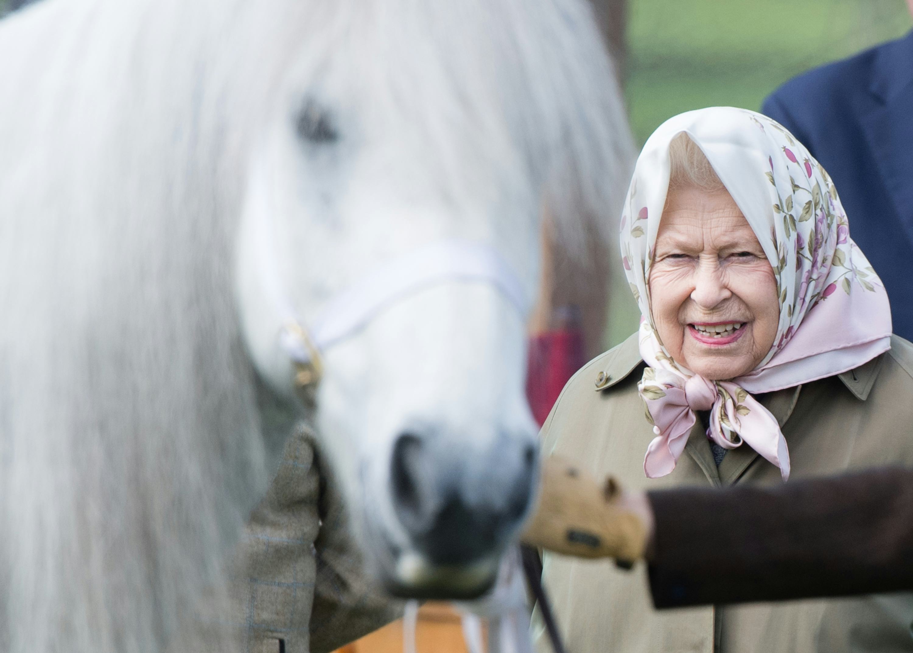 Iconic Celebrity Horse Girls: A Visual History