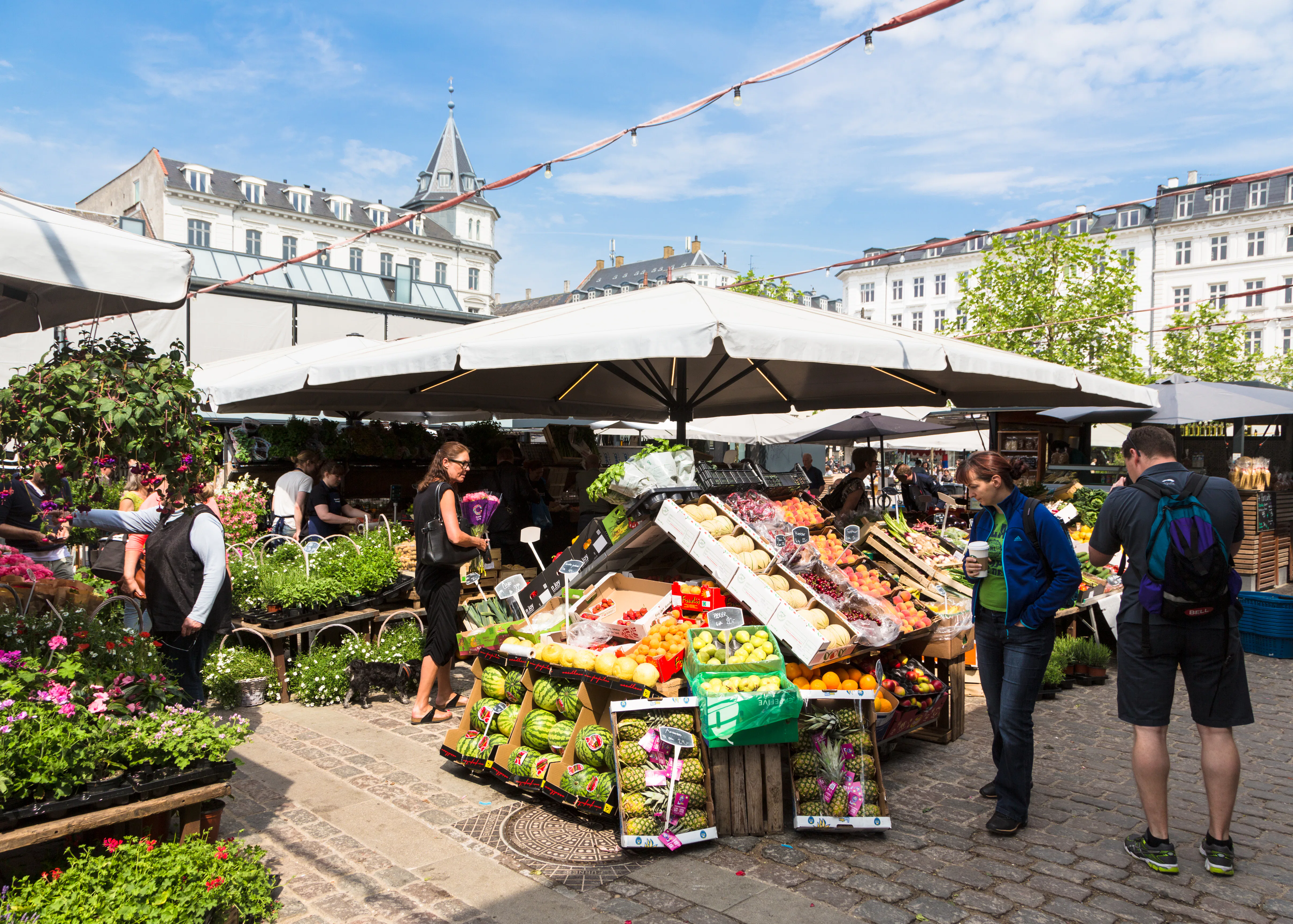 The Ultimate Guide to Visiting Copenhagen