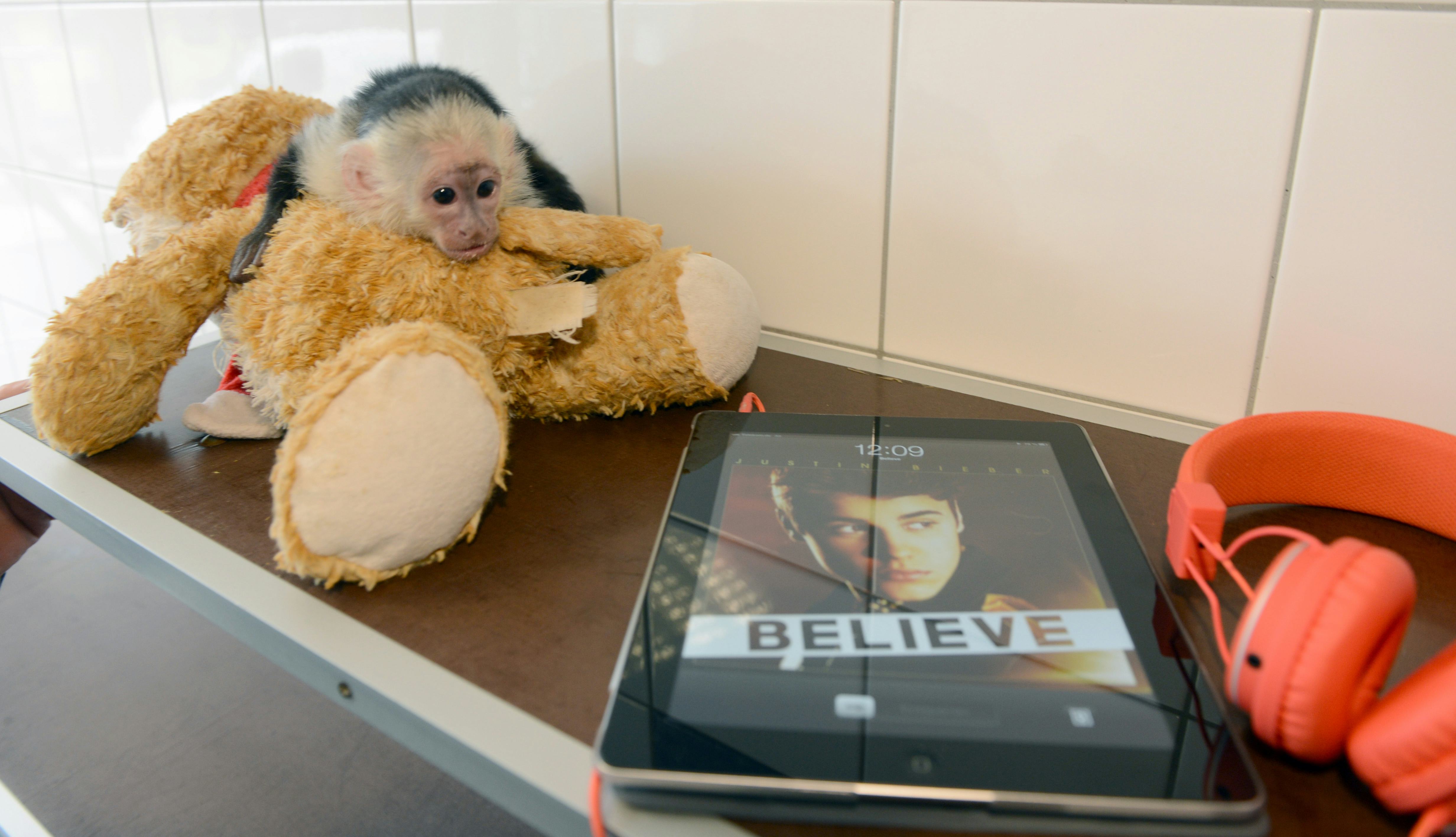 Why Does Justin Bieber Keep Buying Exotic Pets?