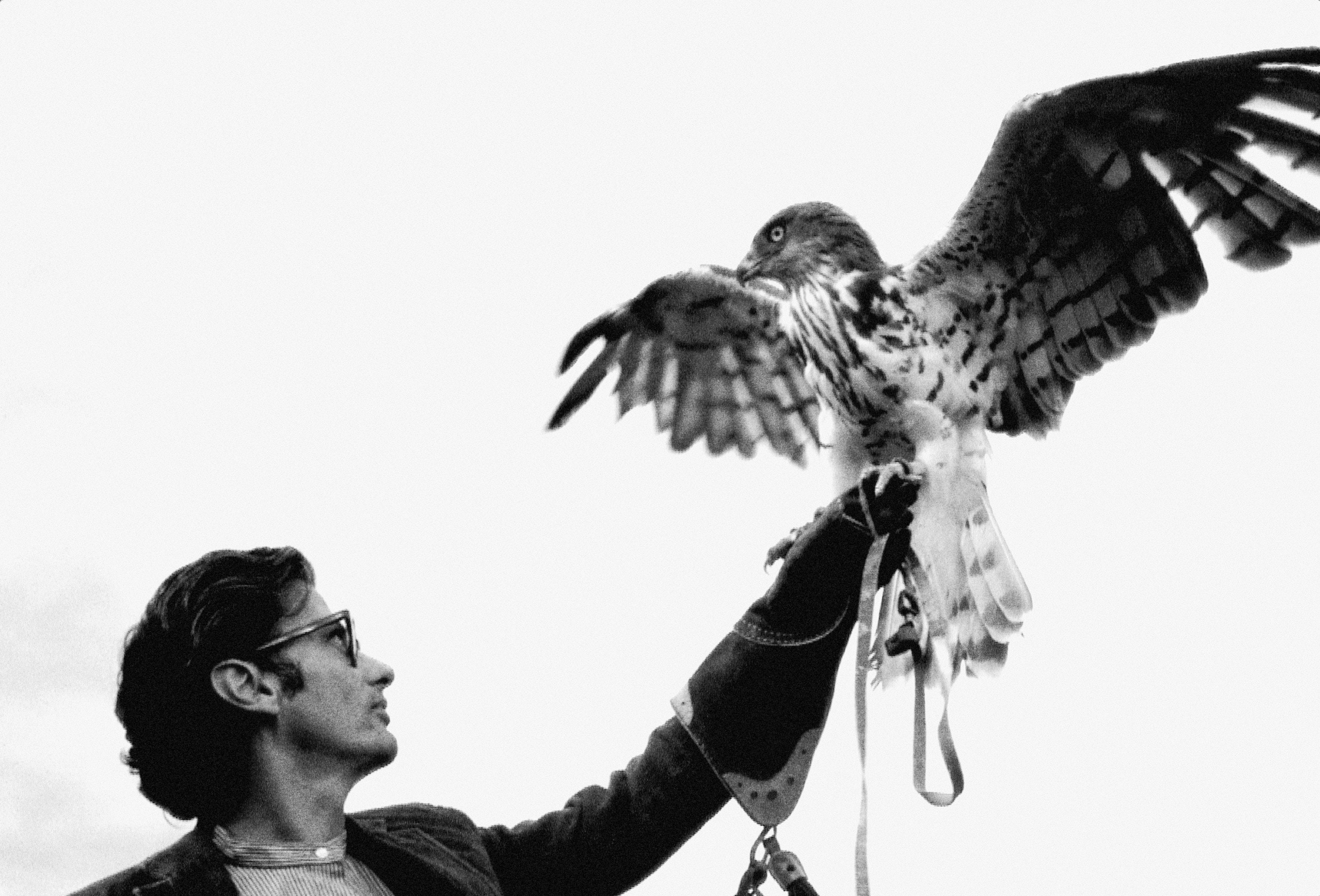 Richard Avedon Behind the Scenes: A Controversial Look at His Process